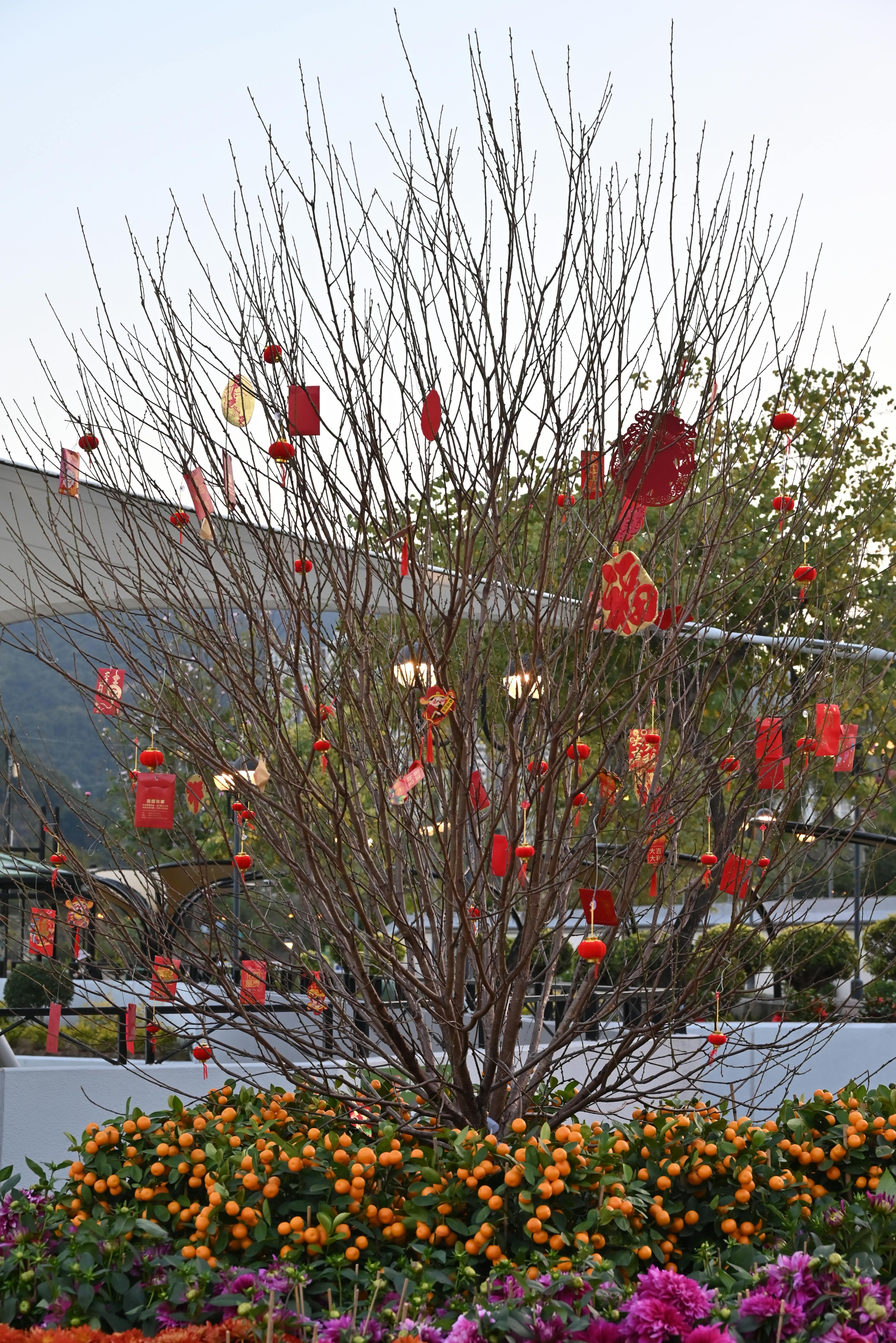 Festive Tree with Red Envelopes and Lanterns · Free Stock Photo