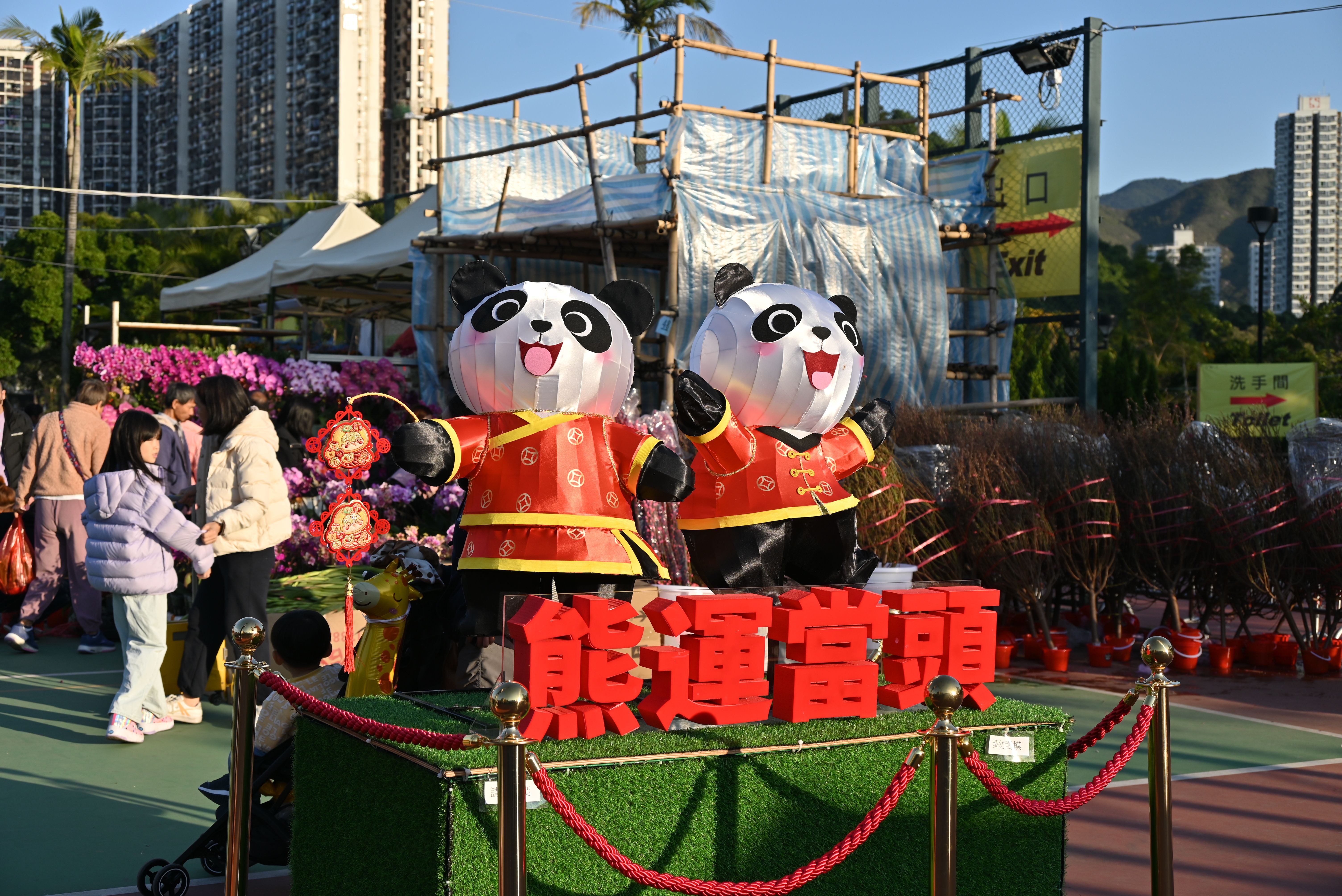 Colorful Panda Figures Celebrating Chinese New Year · Free Stock Photo