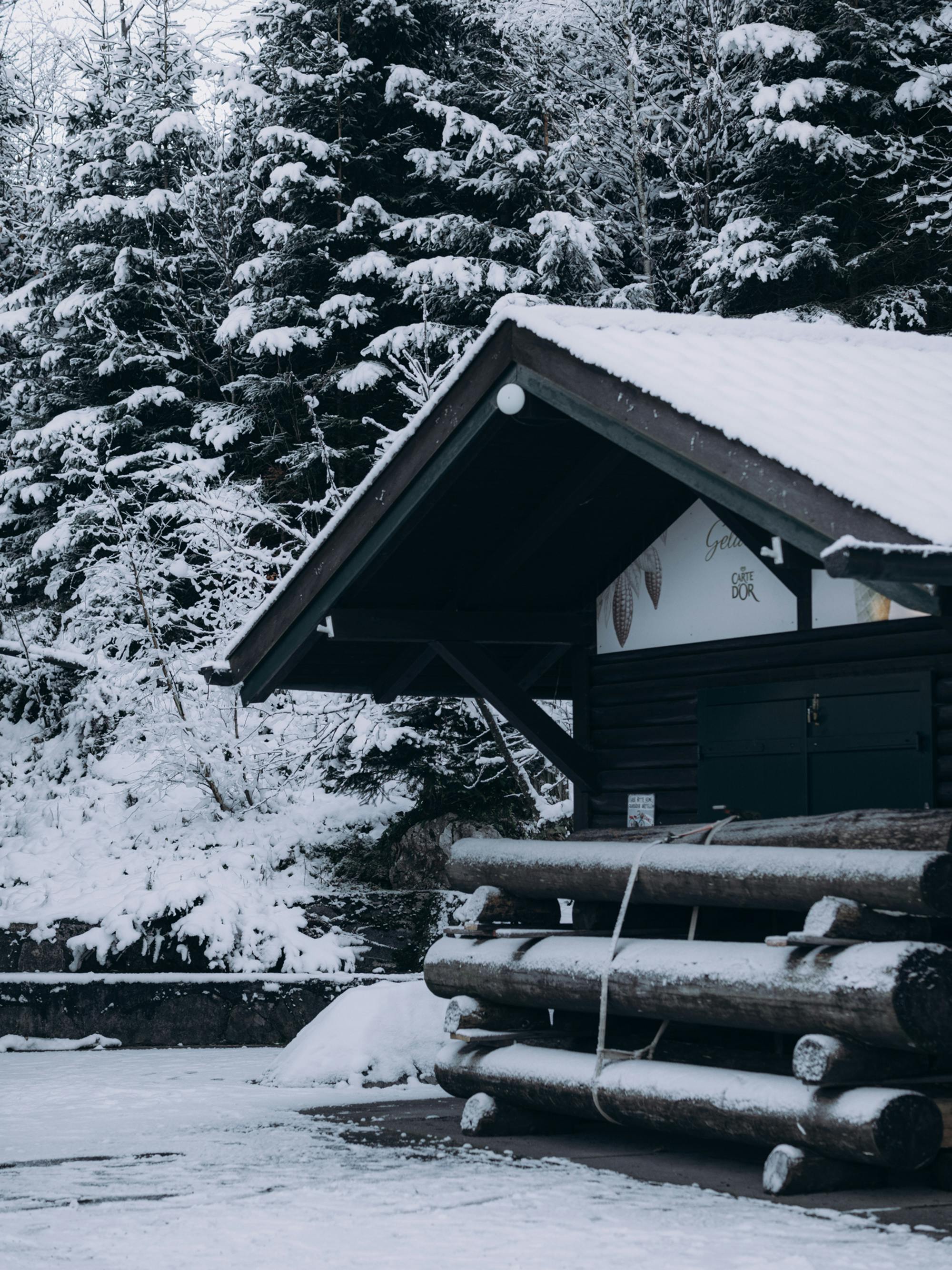 Snowy Brown House Near Tree · Free Stock Photo