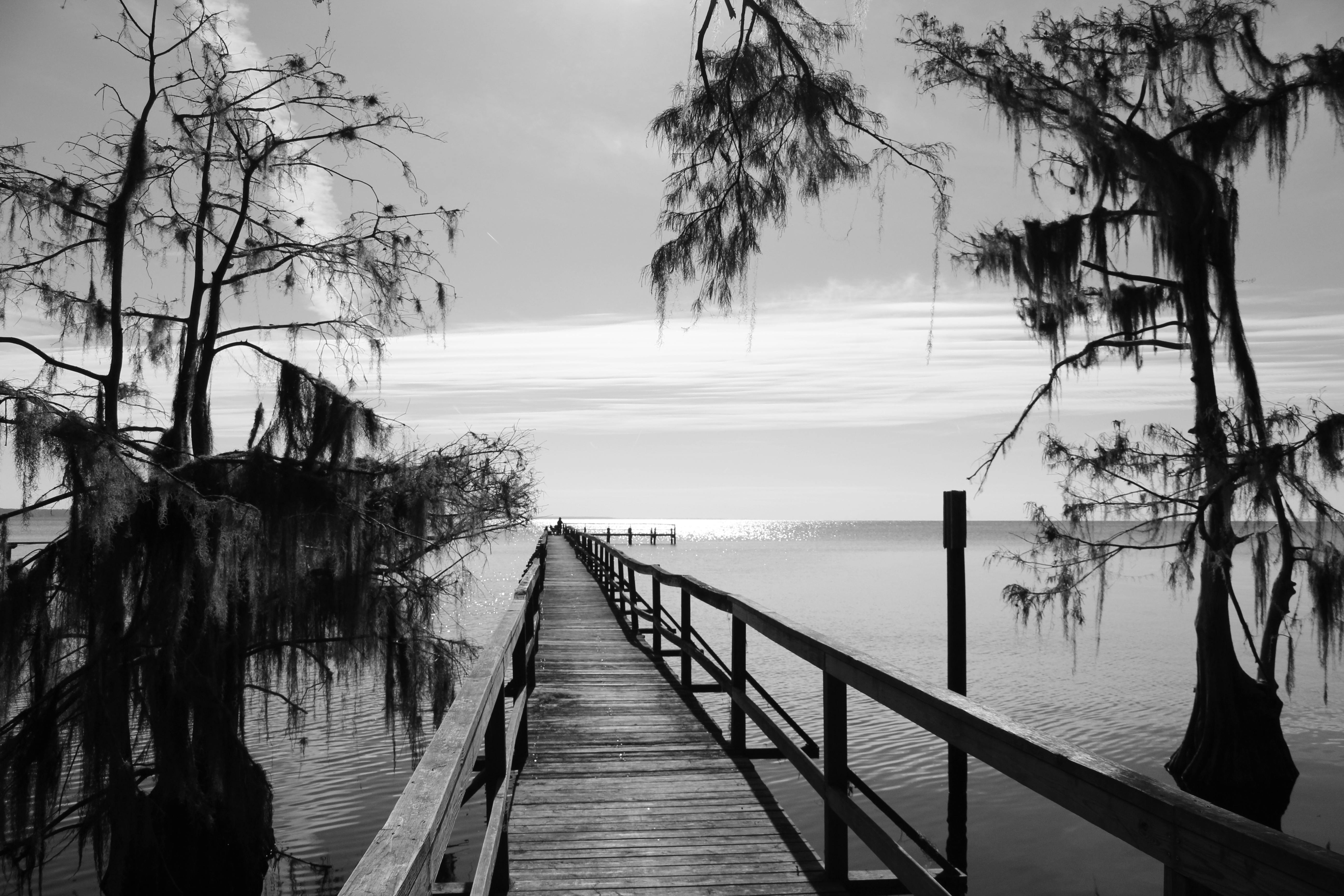 Serene Black and White Lakeside Boardwalk Scene · Free Stock Photo