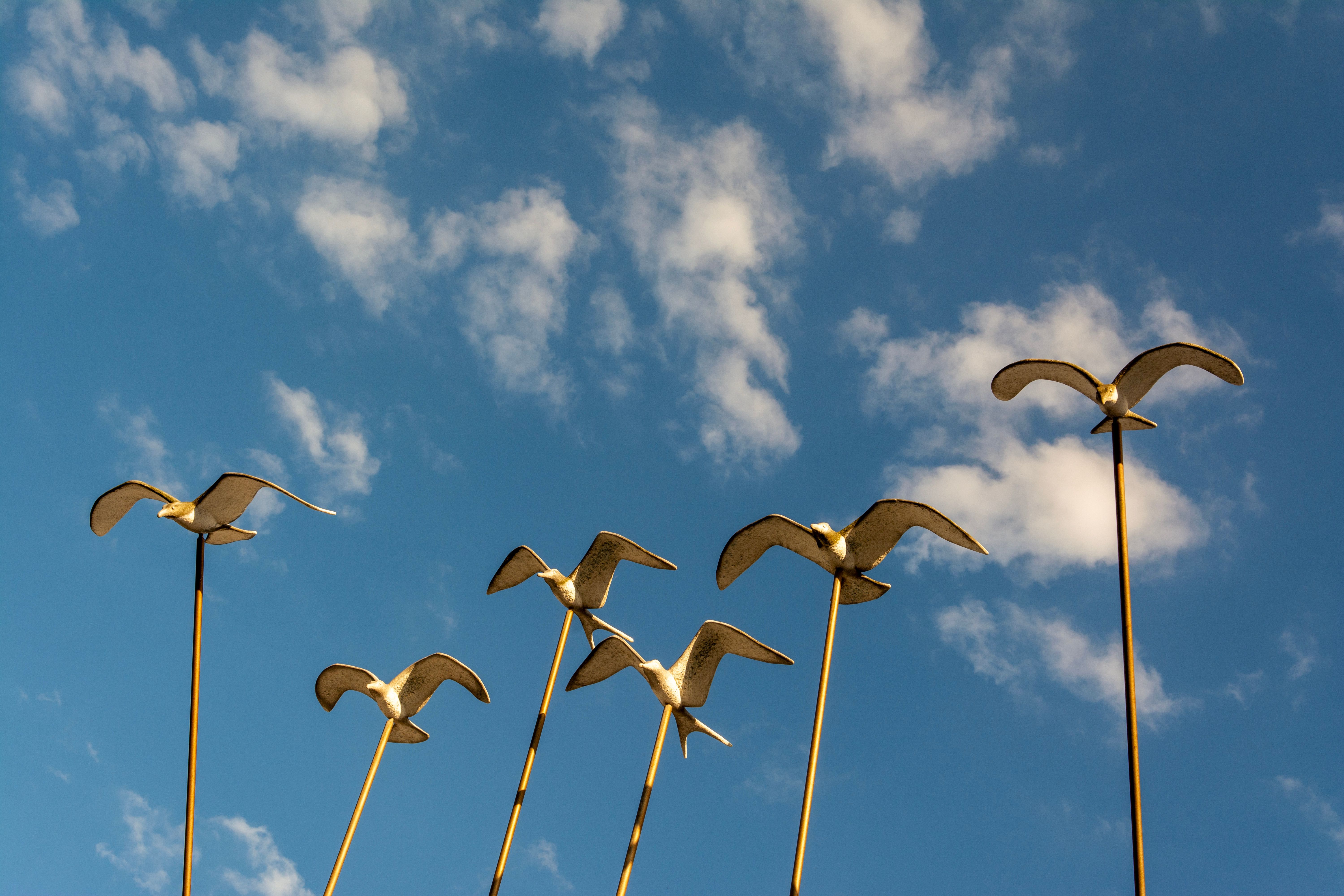 Skyward Art Installation of Birds on Poles · Free Stock Photo