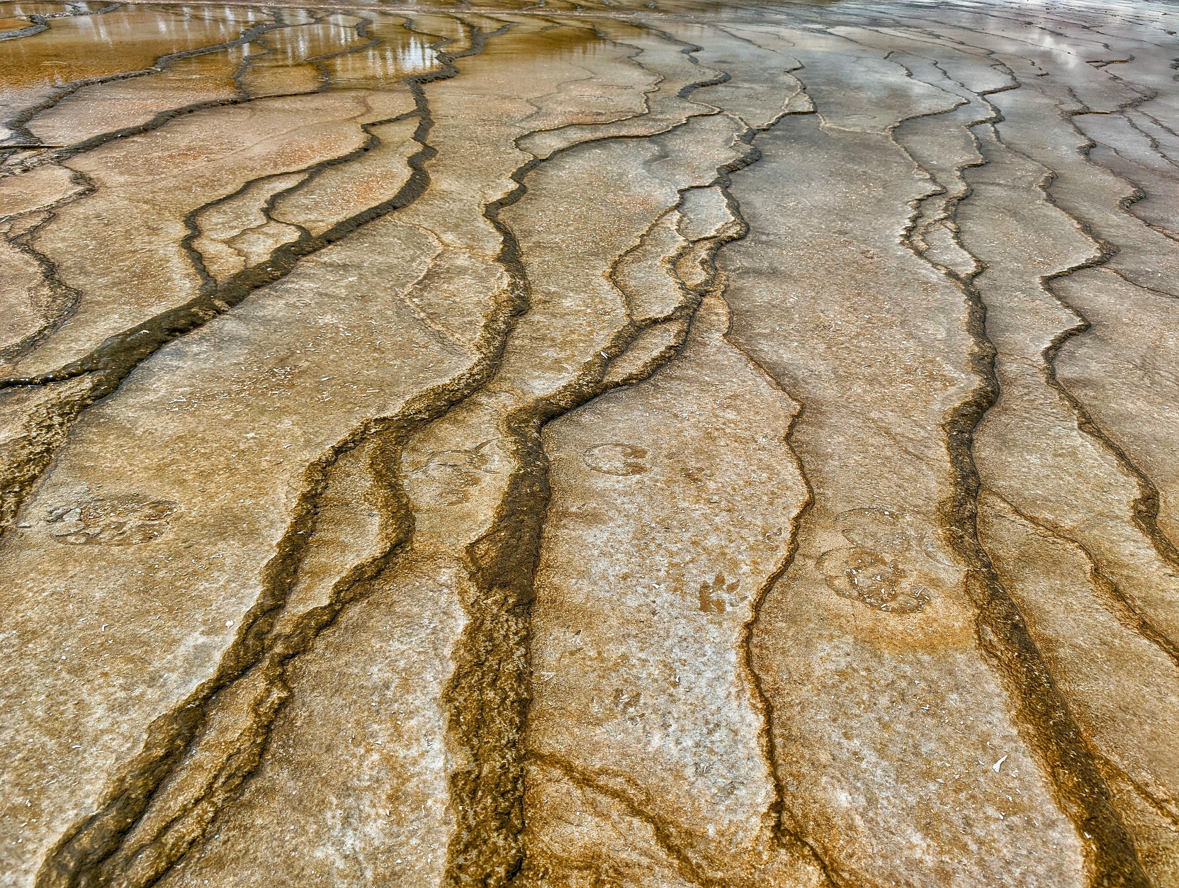Geothermal Patterns in Yellowstone Park · Free Stock Photo