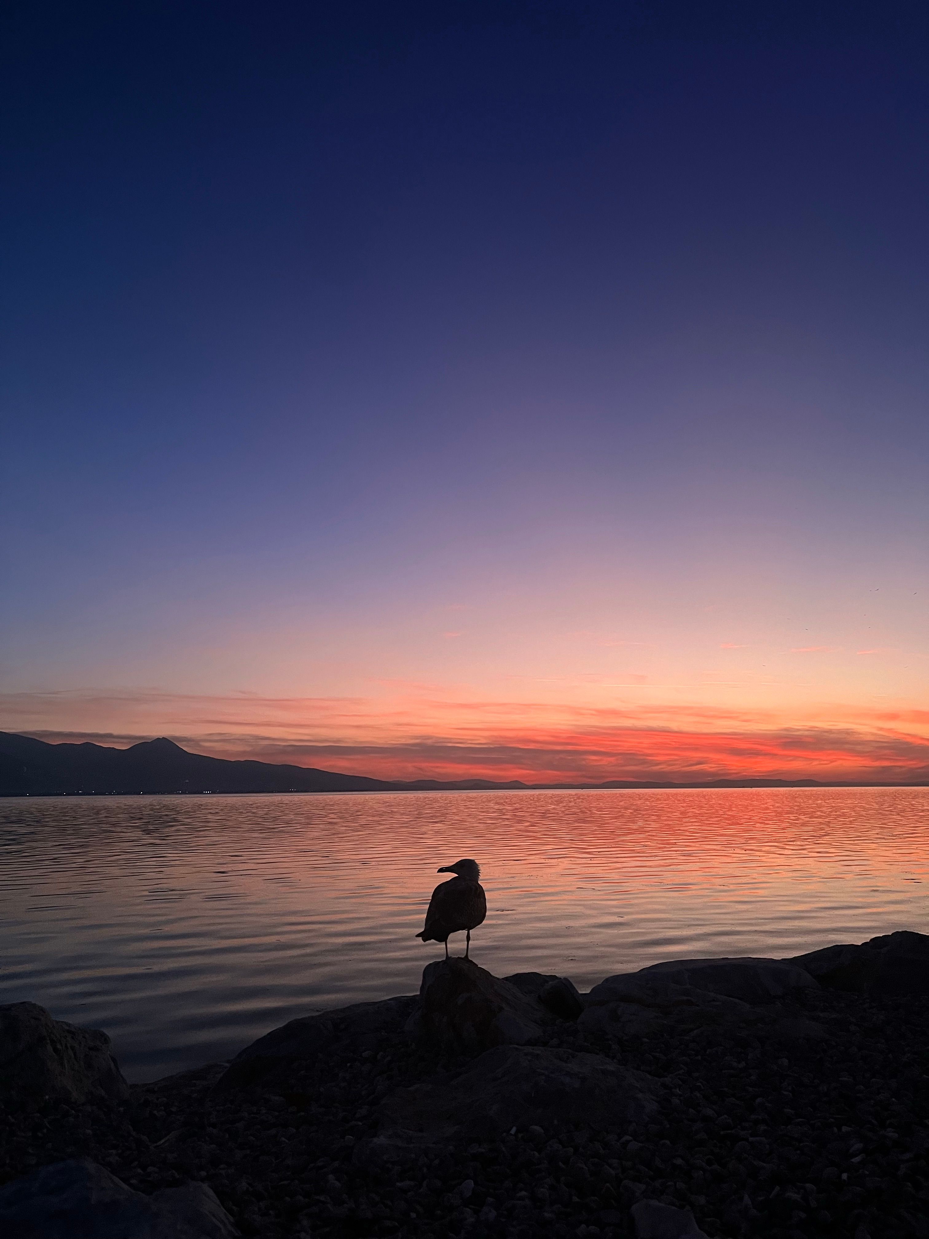 Ambient Video Nature Photos, Download The BEST Free Ambient Video ...