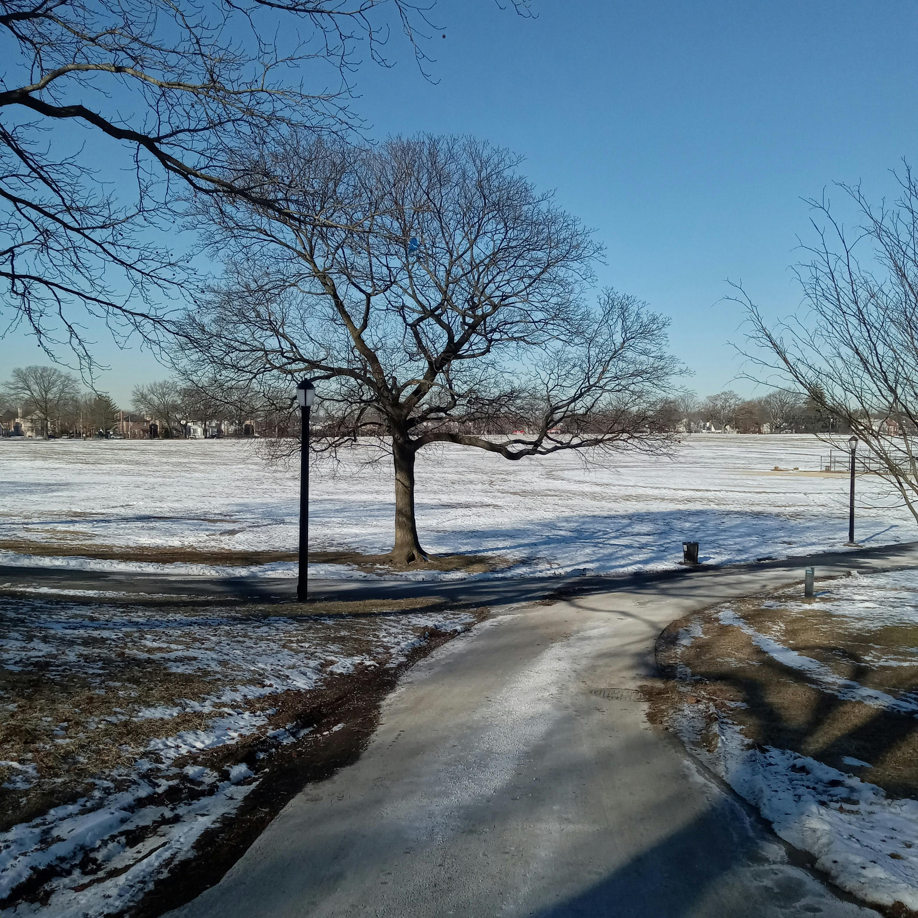 Snow Pathway Photos, Download The BEST Free Snow Pathway Stock Photos ...
