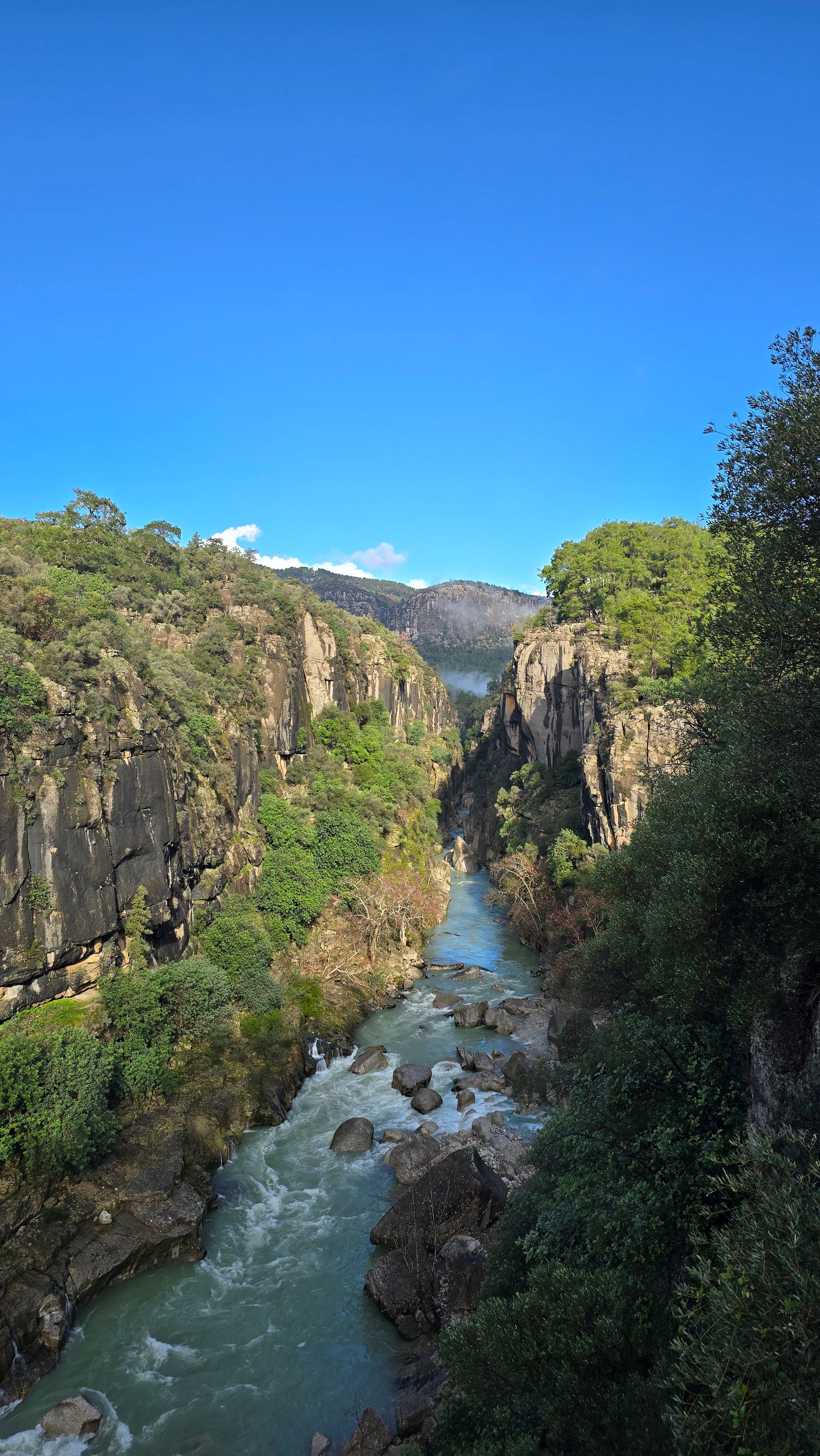 Scenic River Canyon with Lush Greenery · Free Stock Photo