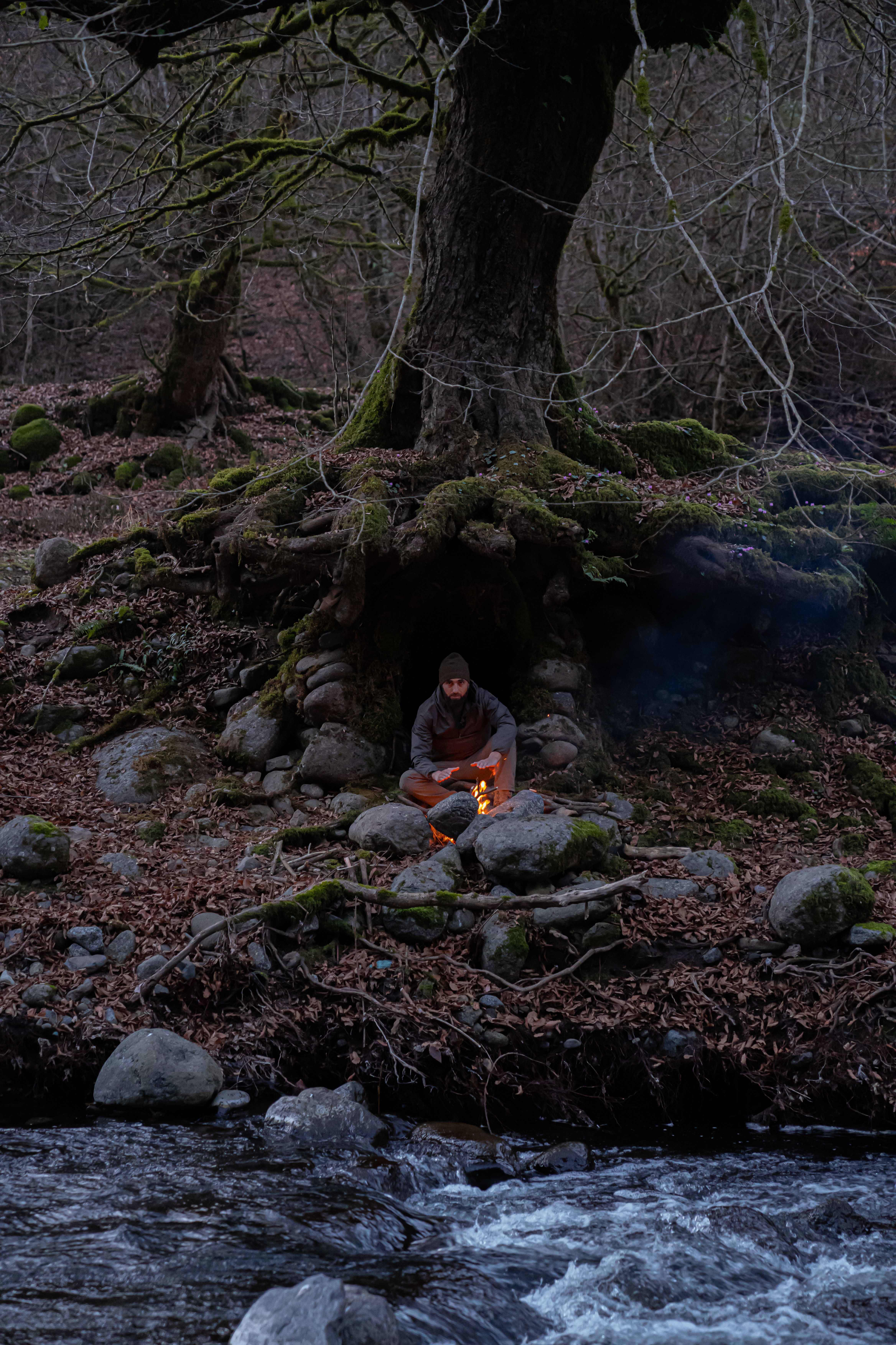 Man by Campfire Under Tree in Forest Setting · Free Stock Photo