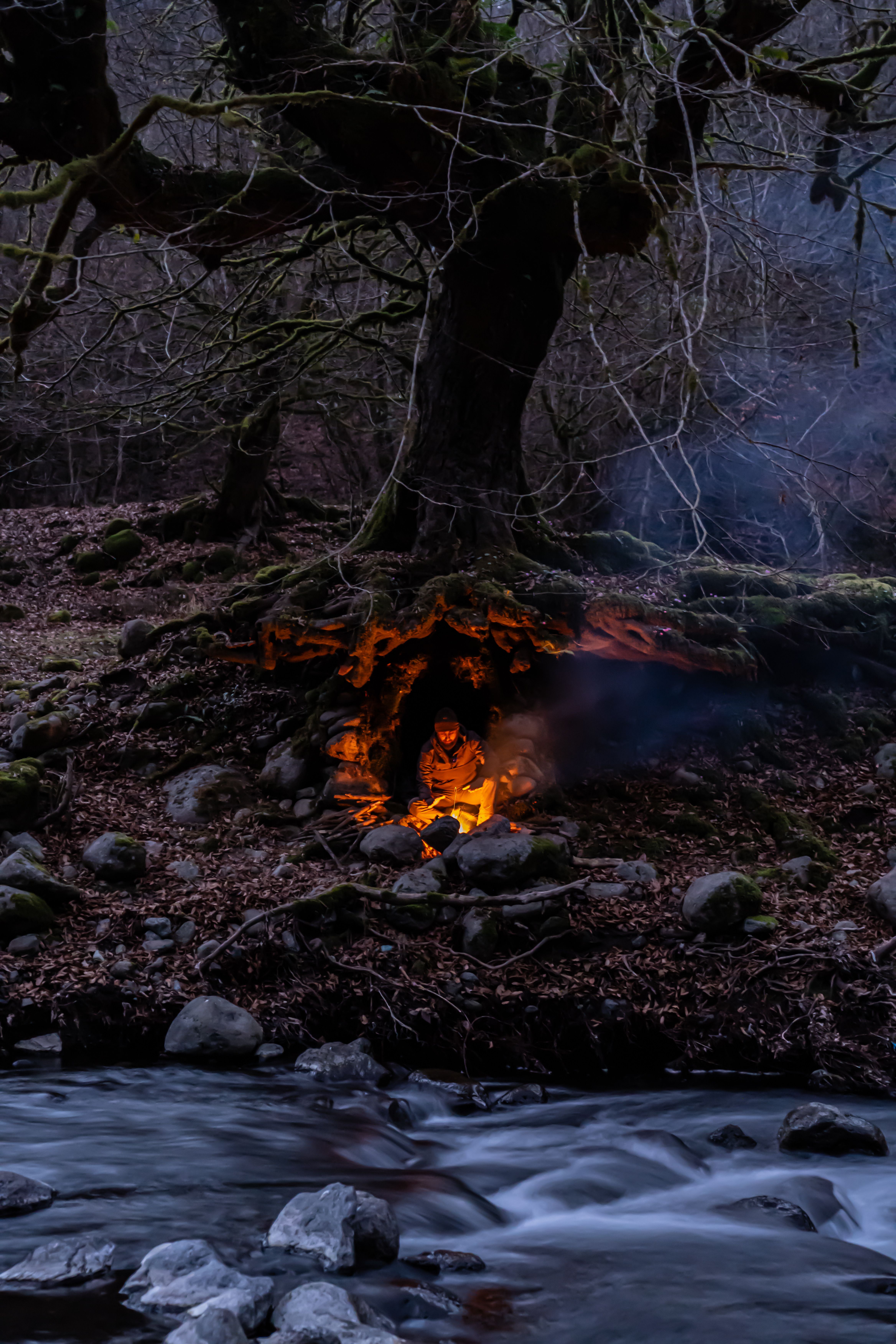 Cozy Campfire Under Tree by a Stream · Free Stock Photo