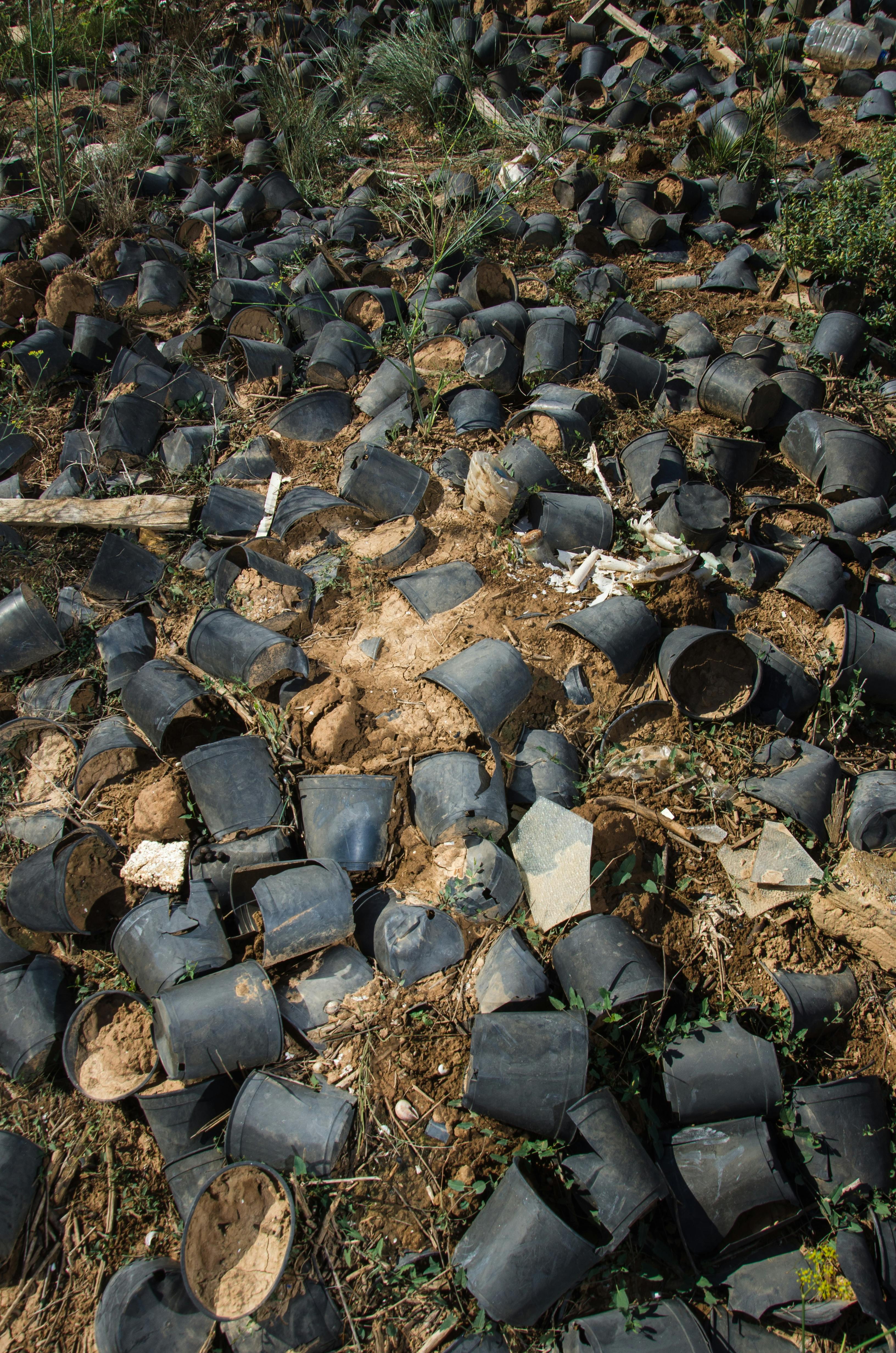 Abandoned Plastic Plant Pots in Overgrown Field · Free Stock Photo