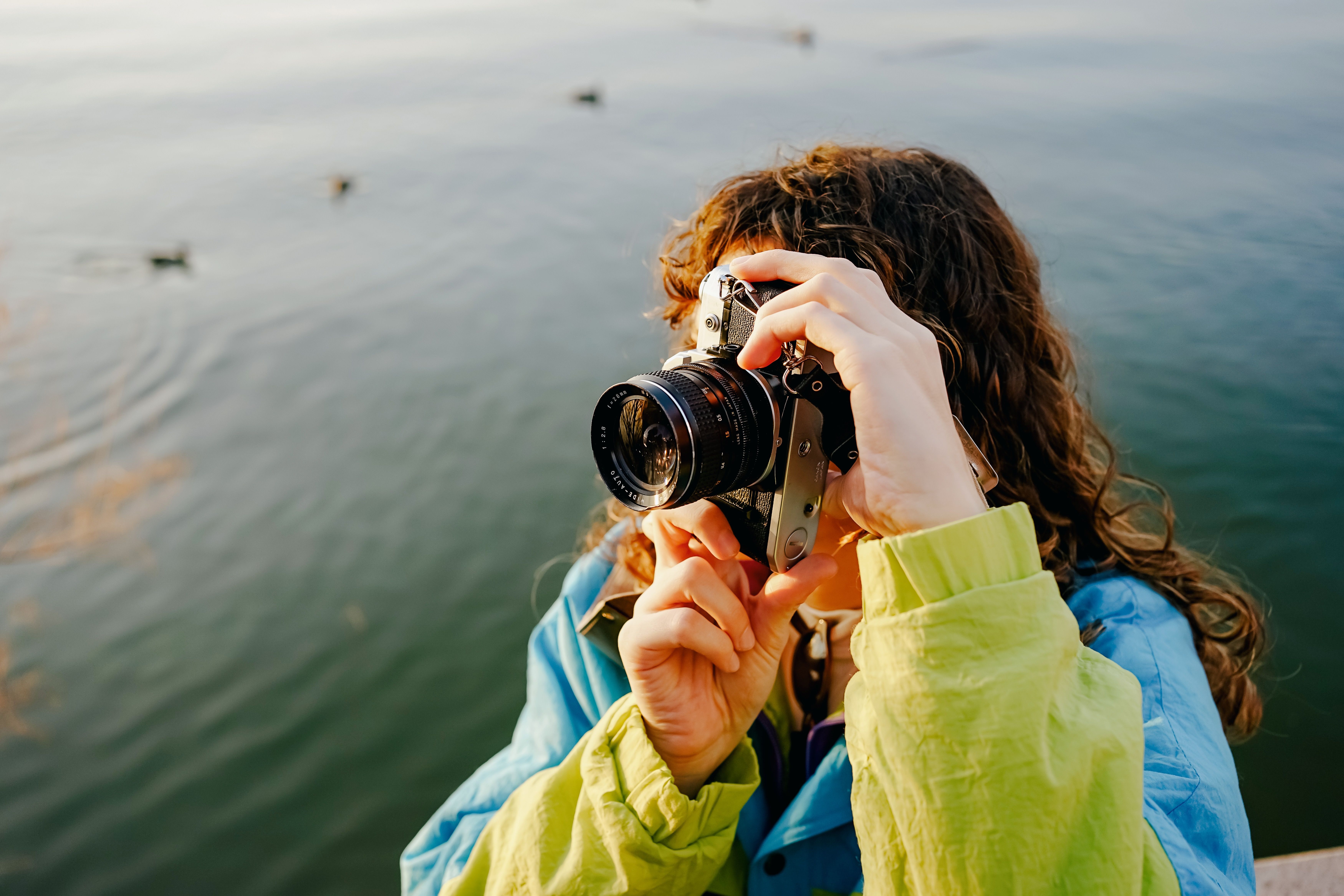 Duck Photographer Photos, Download The BEST Free Duck Photographer ...