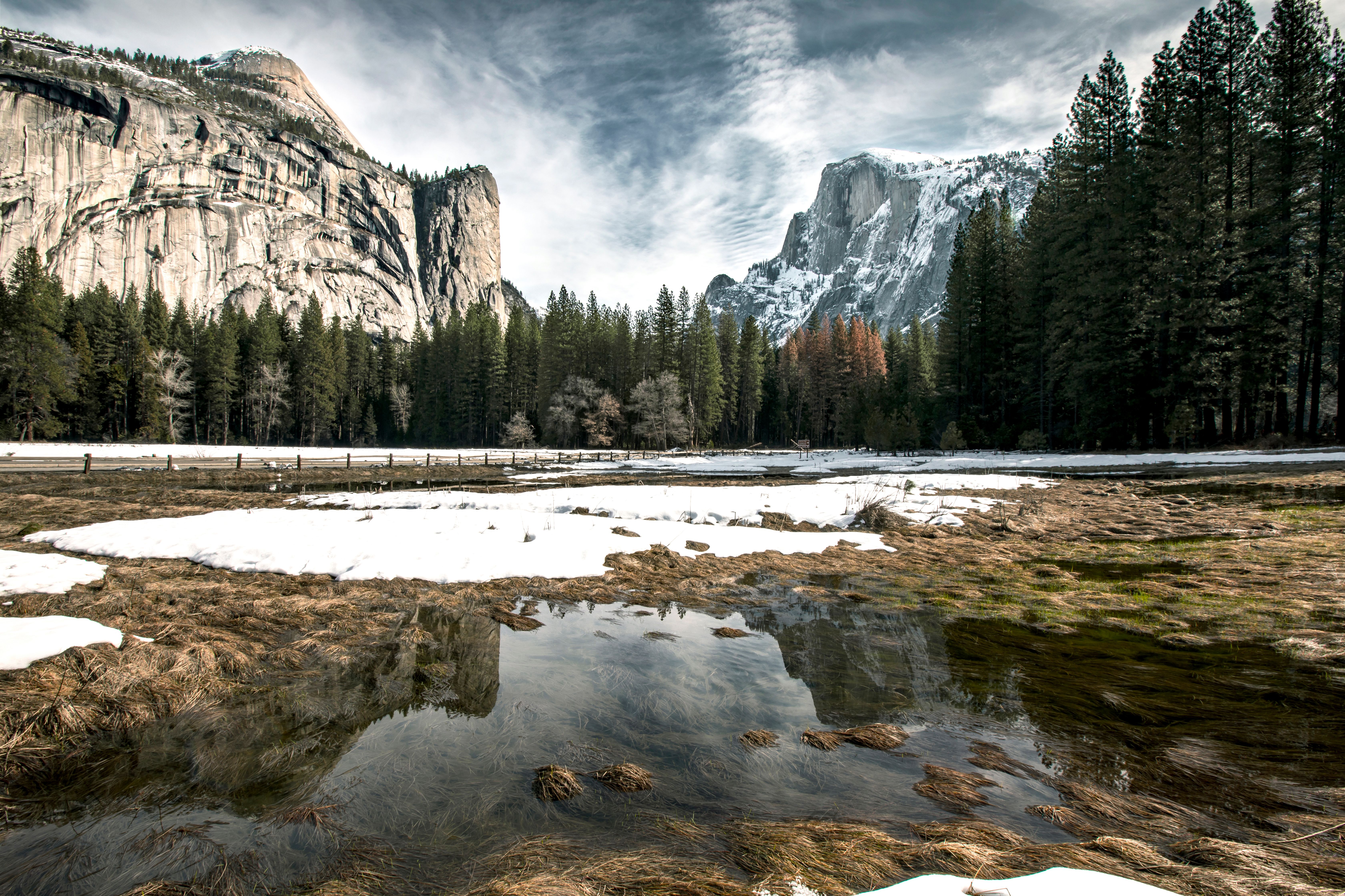 Scenic View of Yosemite National Park's Iconic Cliffs · Free Stock Photo