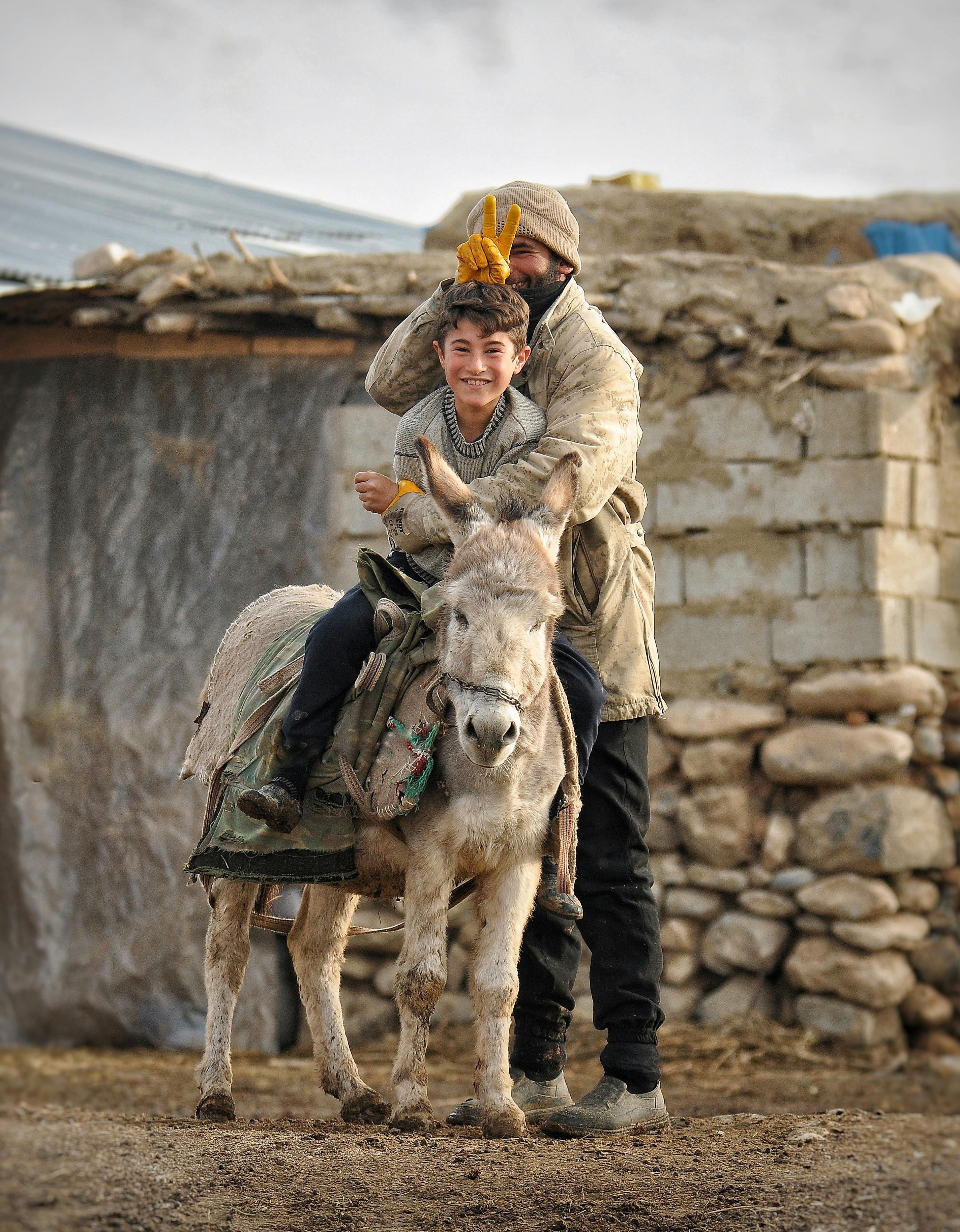 Joyful Boy Riding Donkey in Rural Gürpınar · Free Stock Photo