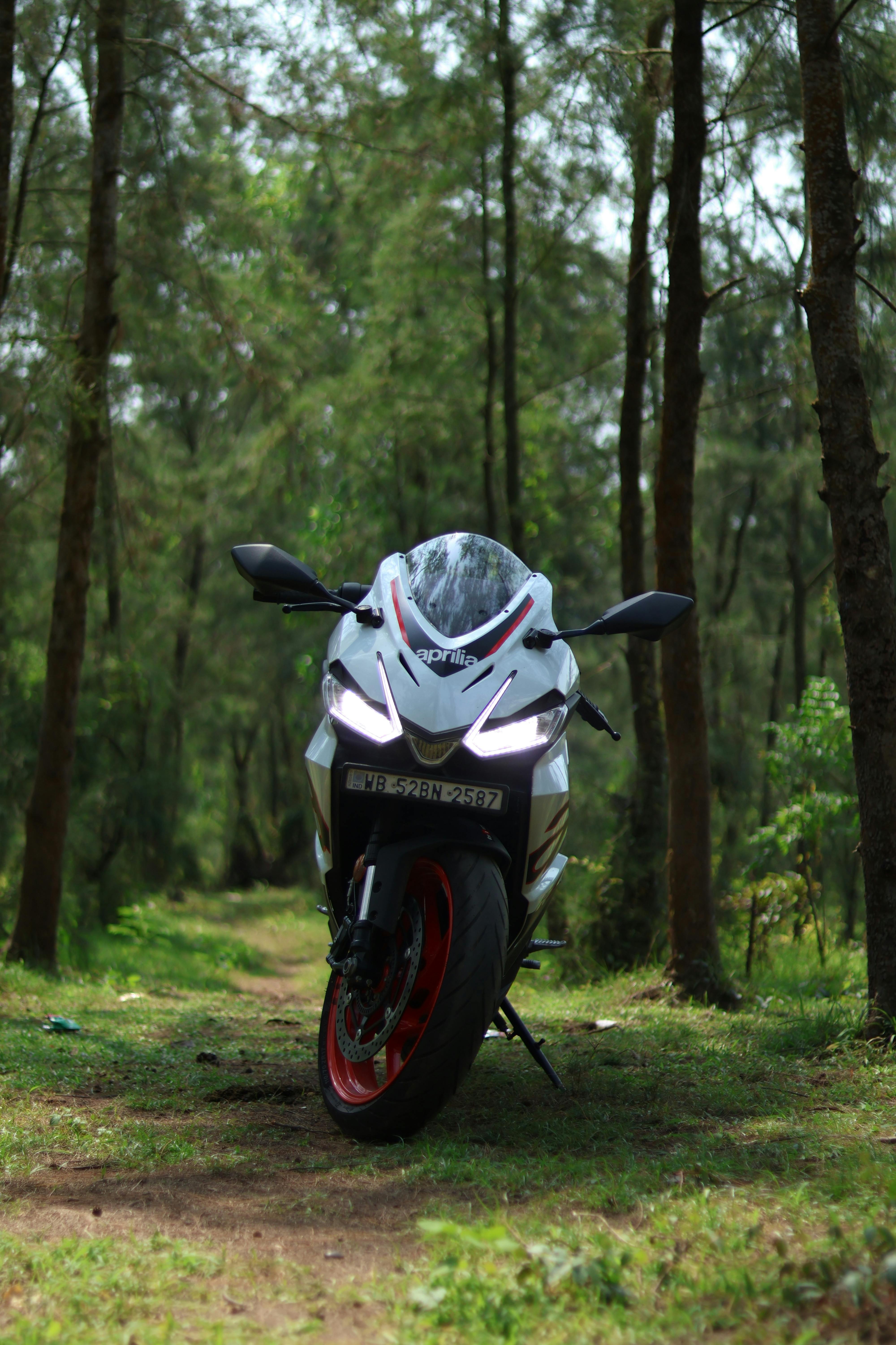 Sportbike parked on forest path during daytime · Free Stock Photo