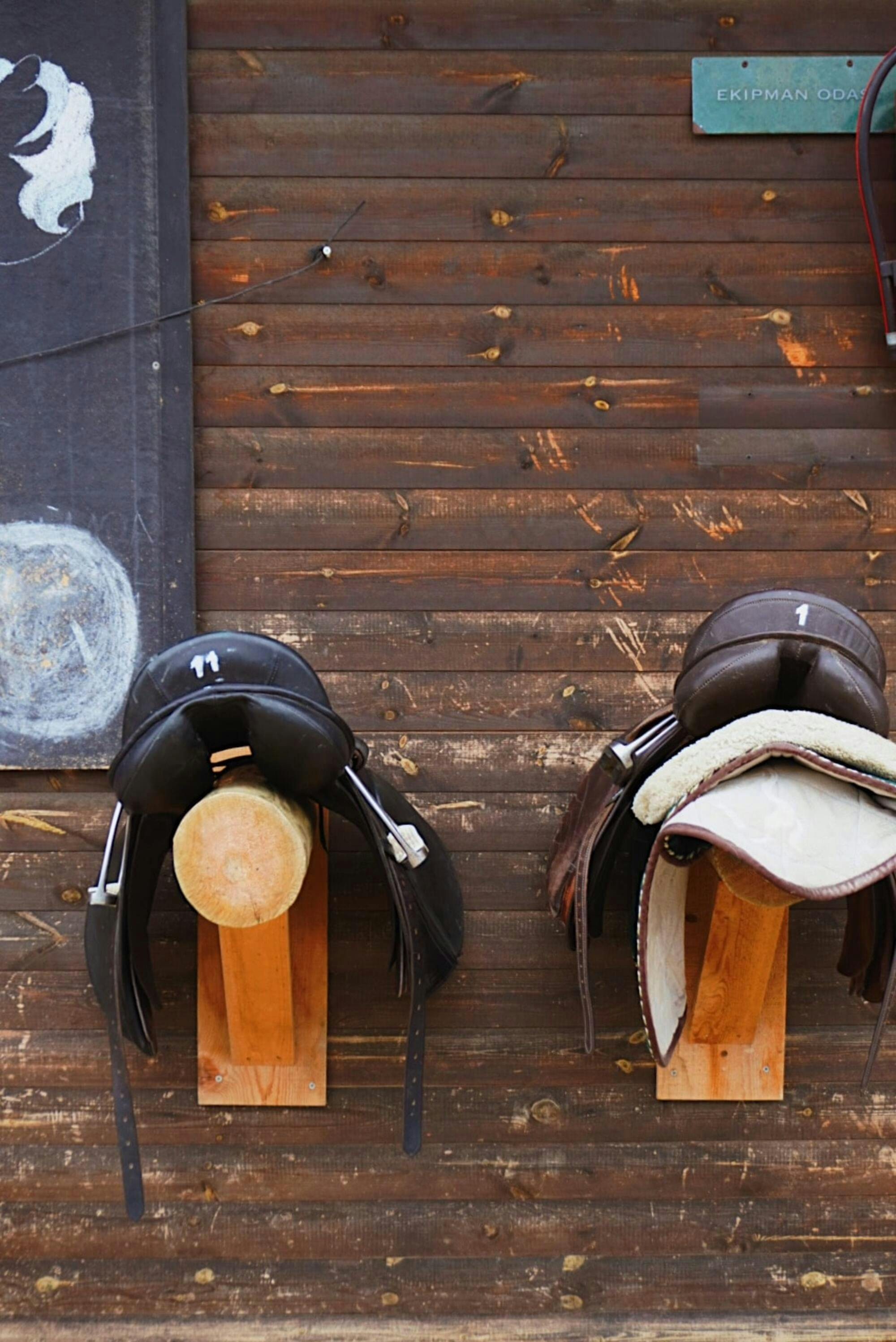 Equestrian Saddles on Wooden Wall in Eskişehir · Free Stock Photo