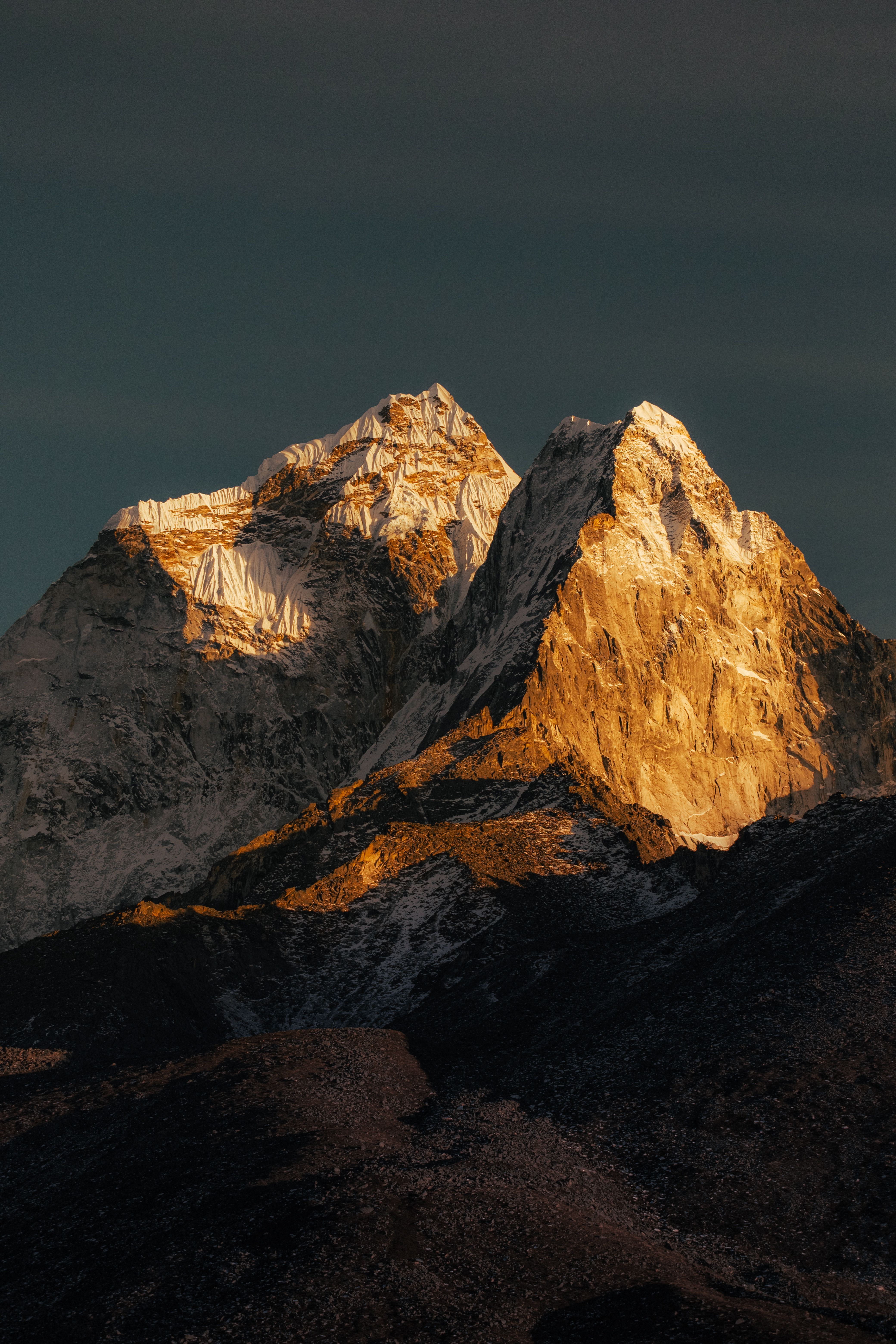 40,000+ Best Eryctriceps+wallpaper Photos · 100% Free Download · Pexels ...