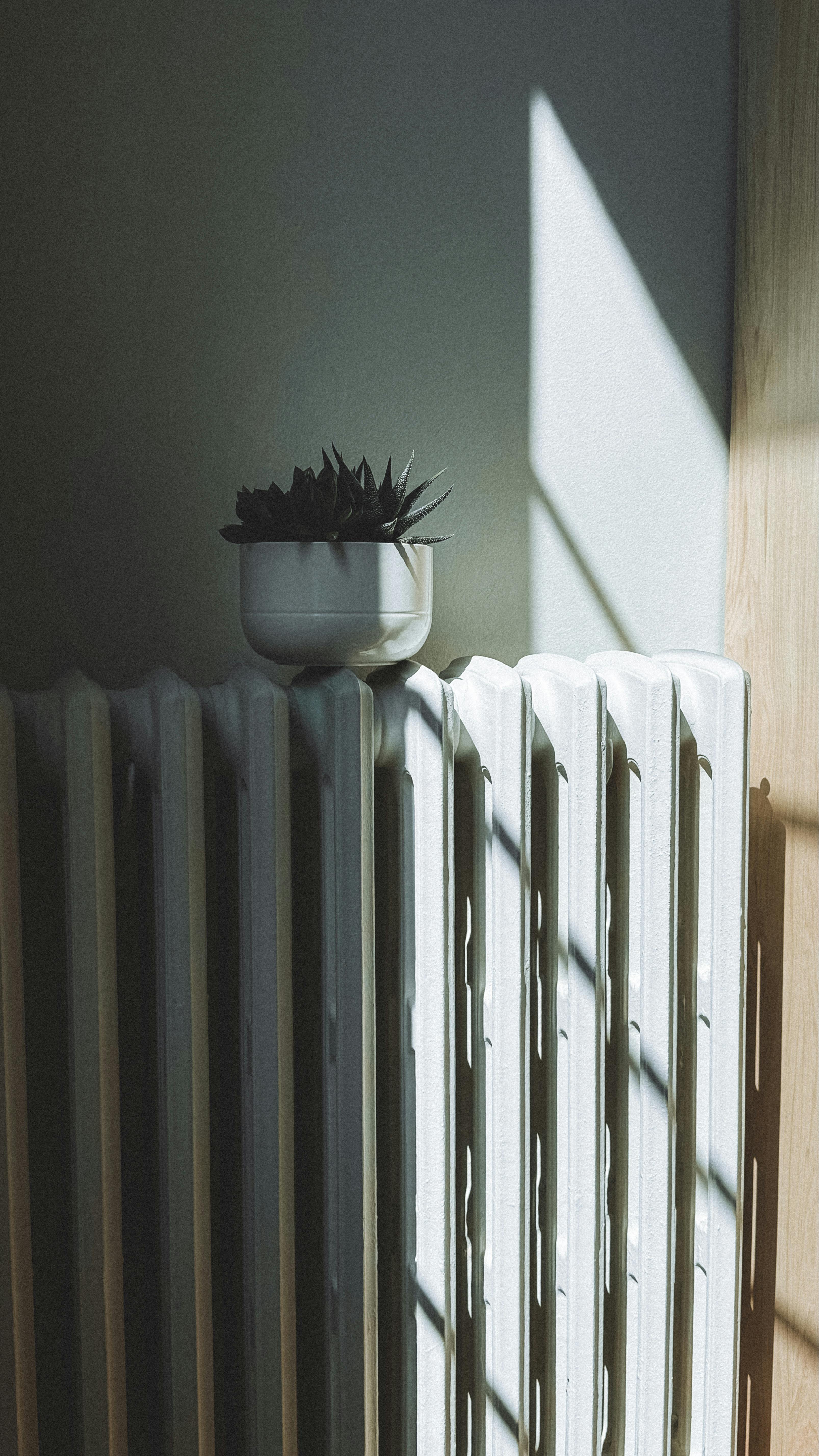 Sun Heating Shadow Photos, Download The BEST Free Sun Heating Shadow ...