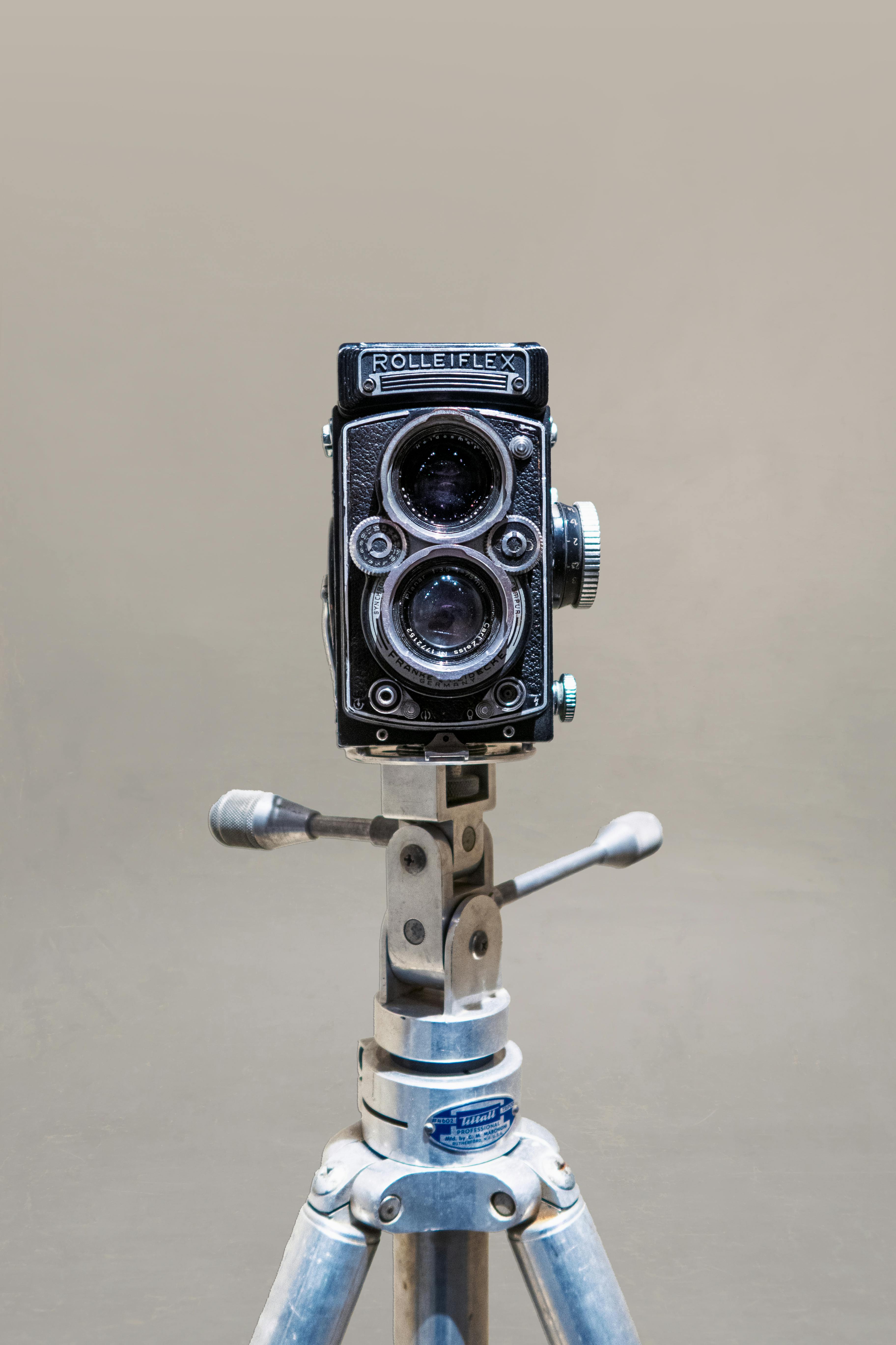 Vintage Snapshot Photos, Download The BEST Free Vintage Snapshot Stock ...