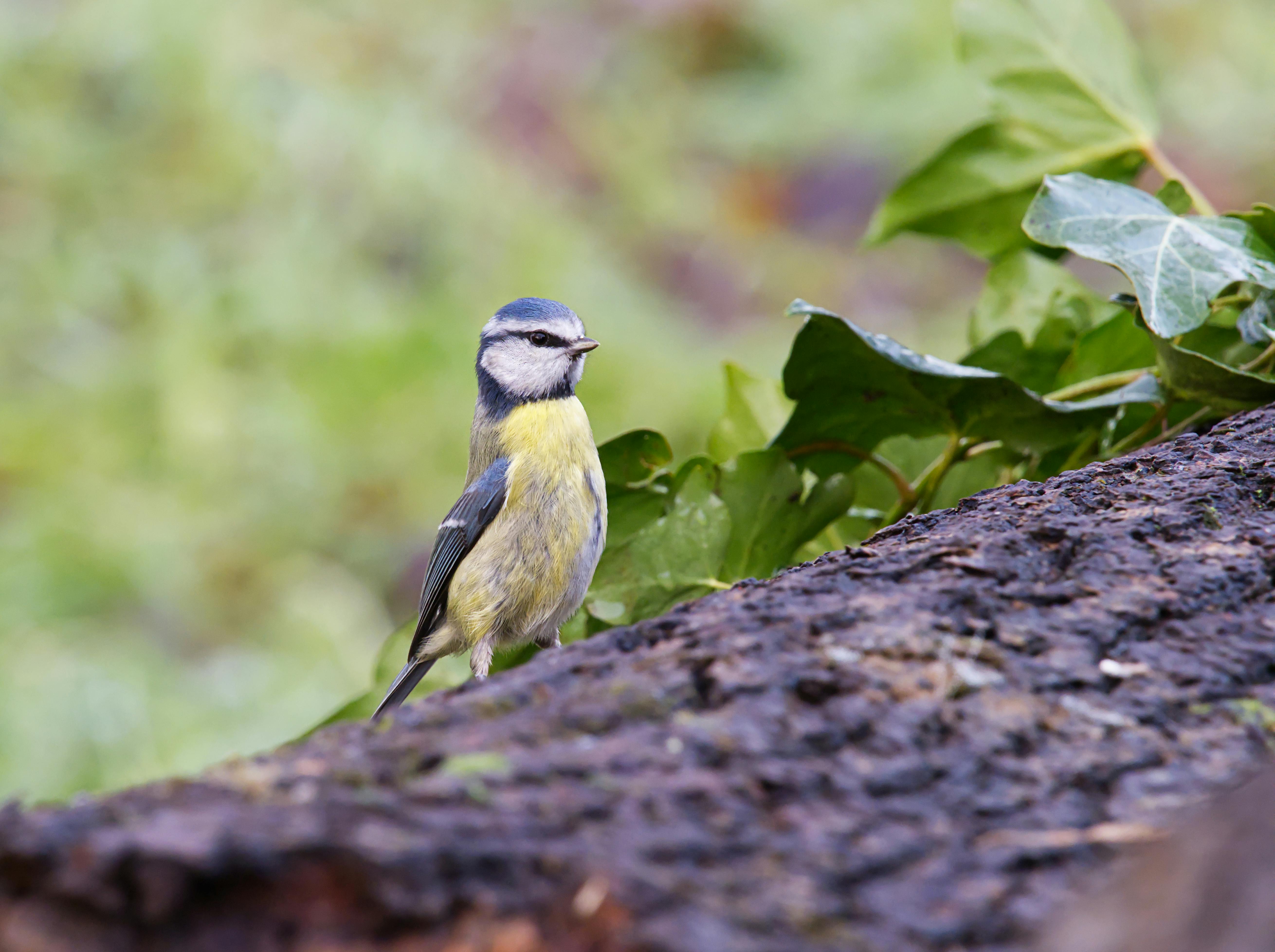 Liteblue.Usps.Gov Tit Photos, Download The BEST Free Liteblue.Usps.Gov ...