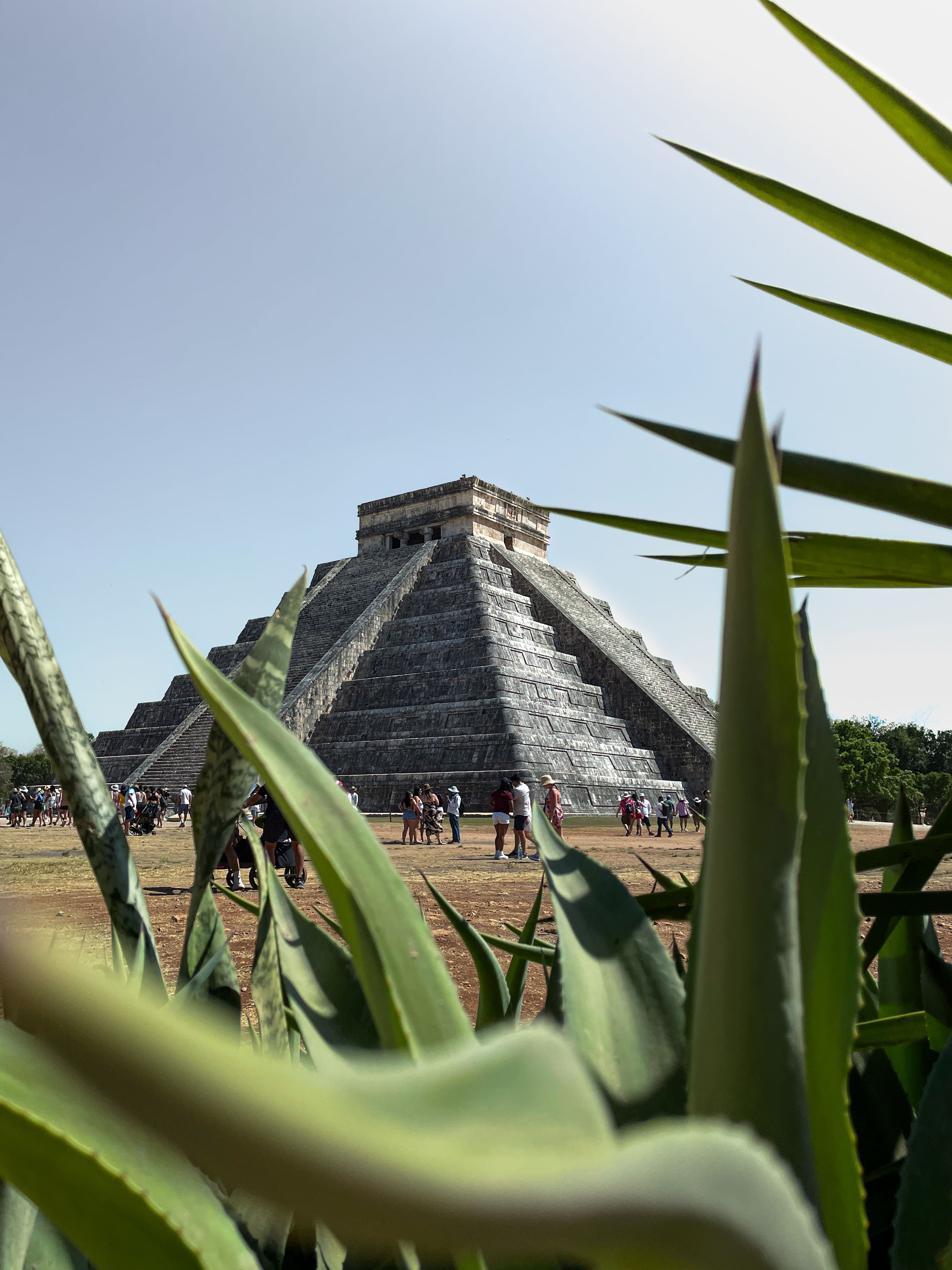 Chichen Itza Pyramid with Agave in Foreground · Free Stock Photo