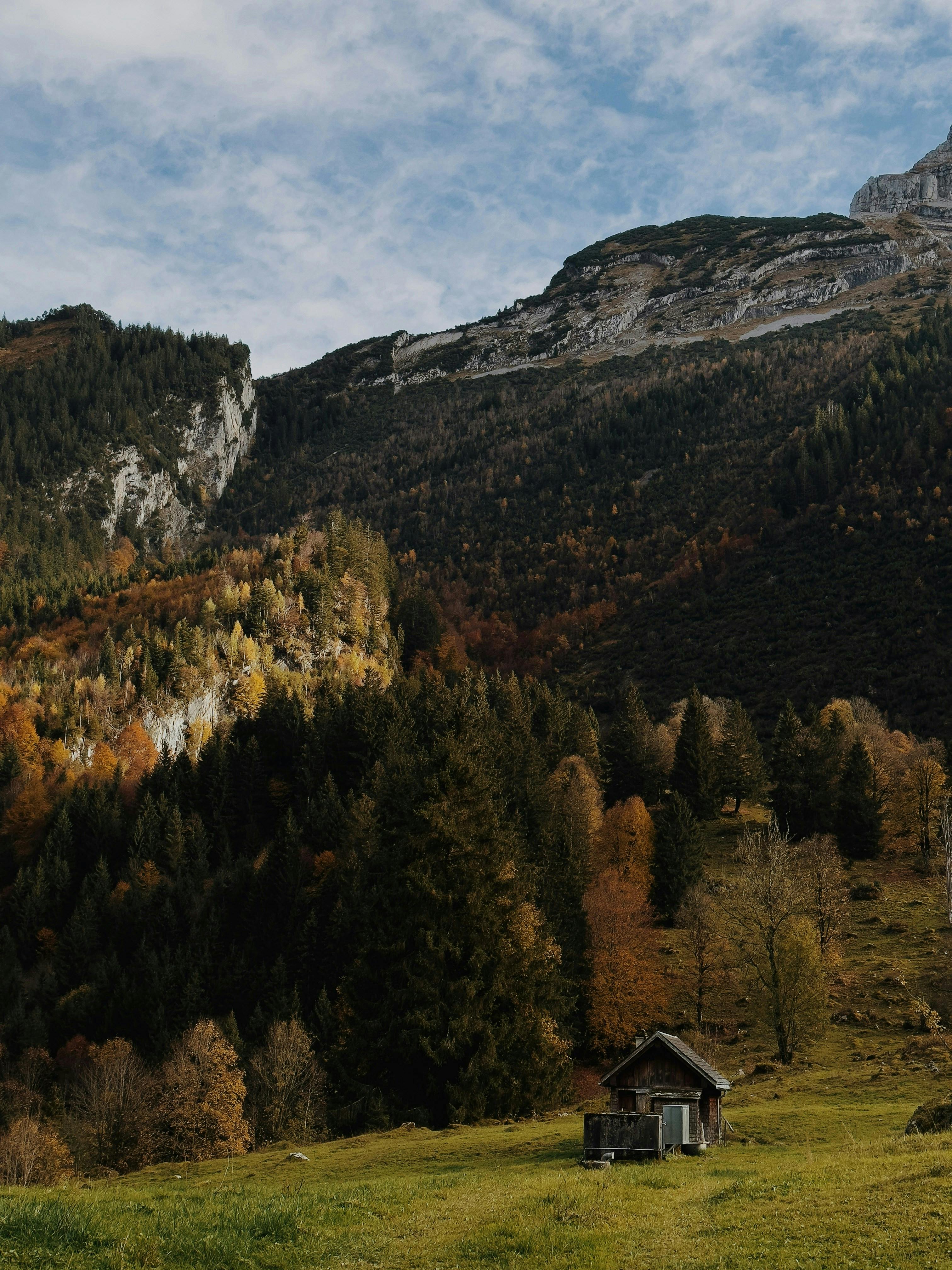 Heidi Country Photos, Download The BEST Free Heidi Country Stock Photos ...