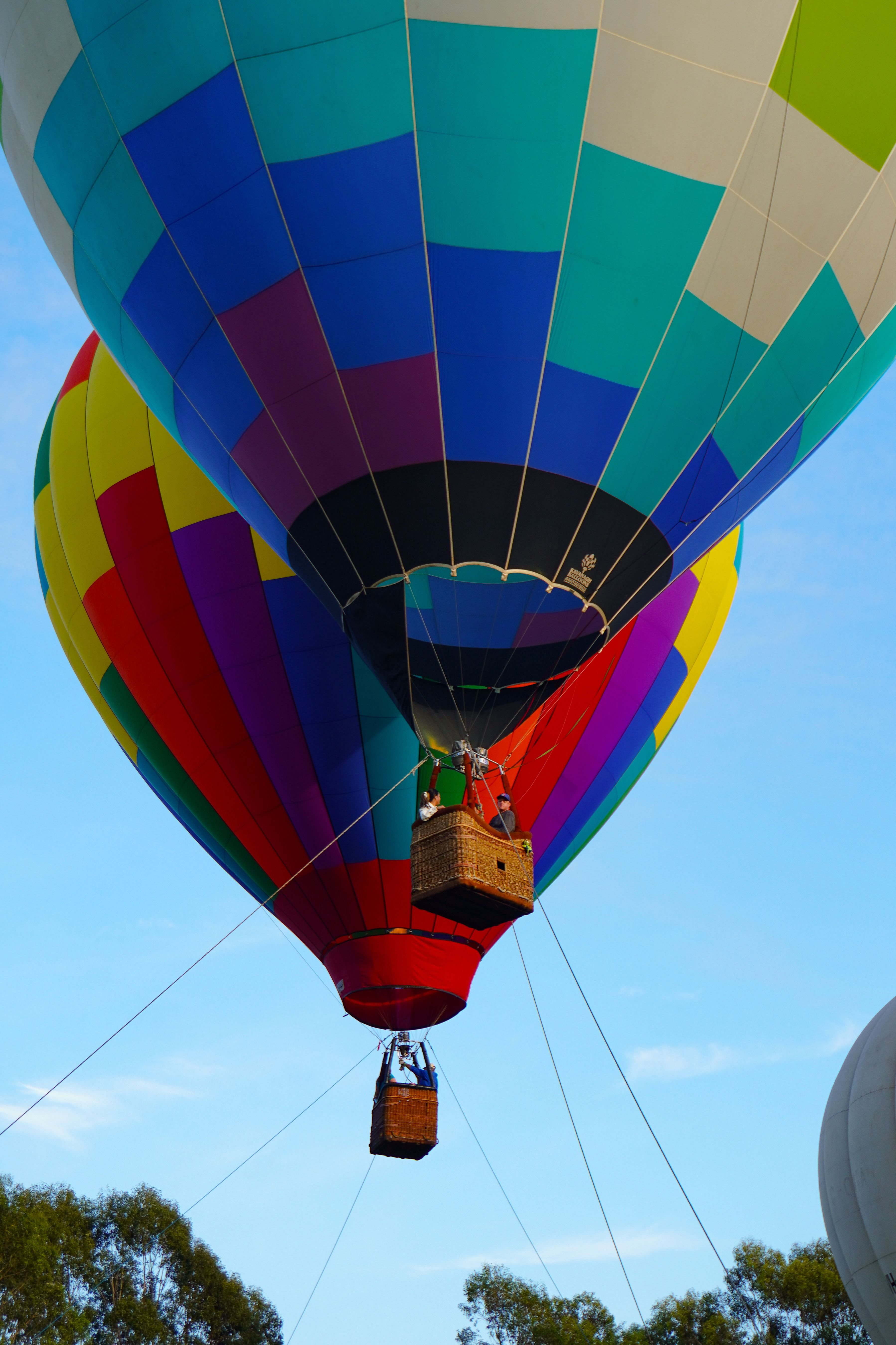 Colorful Hot Air Balloons in Flight Against Blue Sky · Free Stock Photo