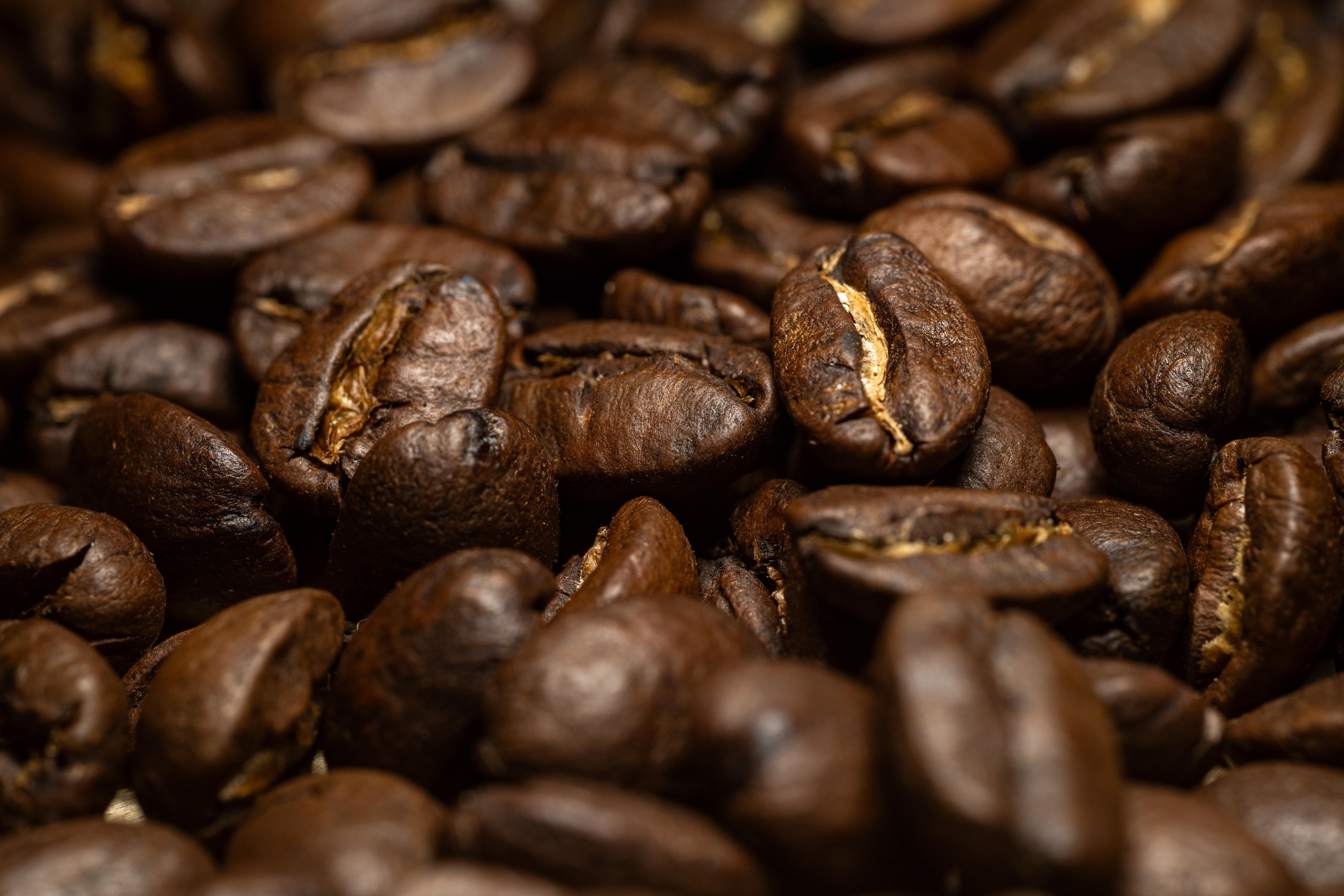 Close-up of Roasted Coffee Beans in Focus · Free Stock Photo