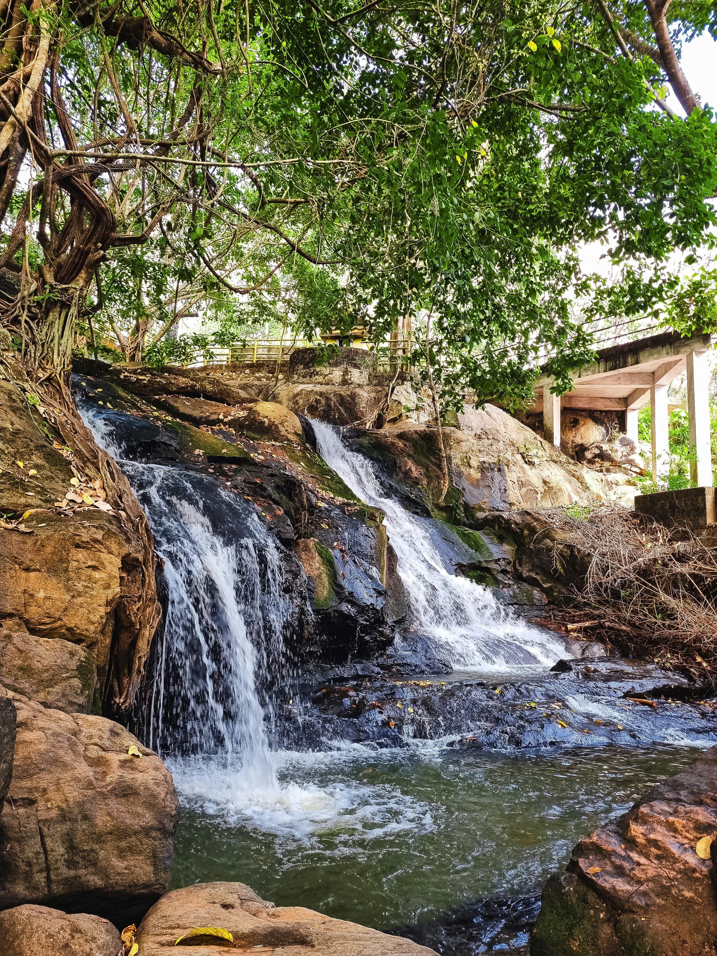 Jailbait+Torrent Photos, Download The BEST Free Jailbait+Torrent Stock ...