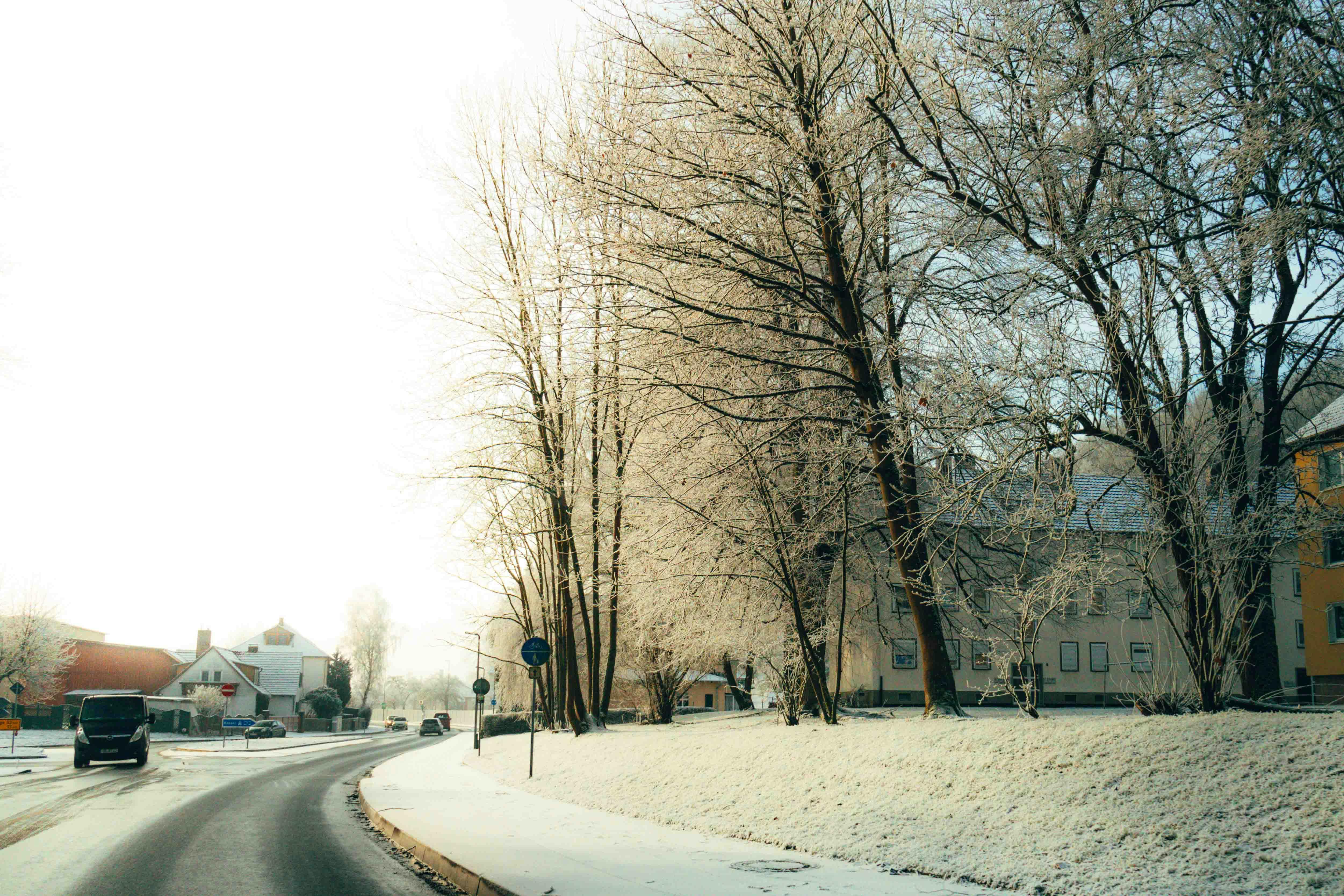 Frosty Winter Morning Street Scene · Free Stock Photo