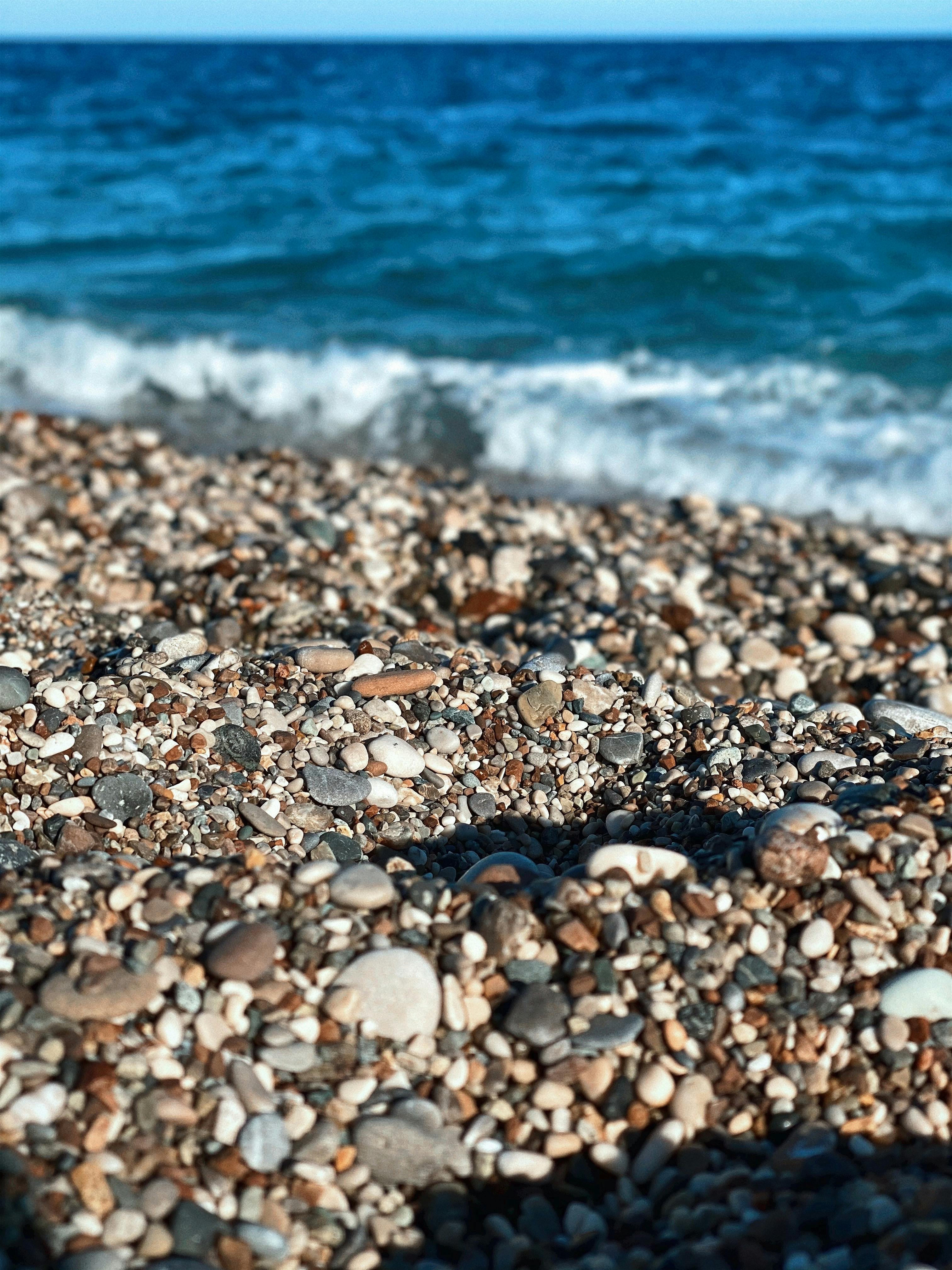 Sea Shore With Stones Photos, Download The BEST Free Sea Shore With ...