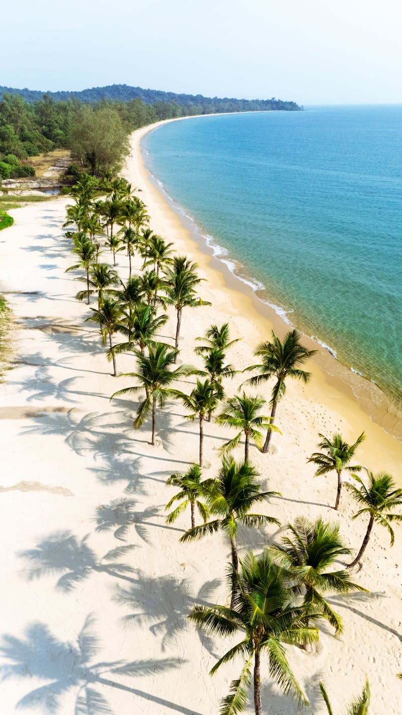 Beach View Photos, Download The BEST Free Beach View Stock Photos & HD ...