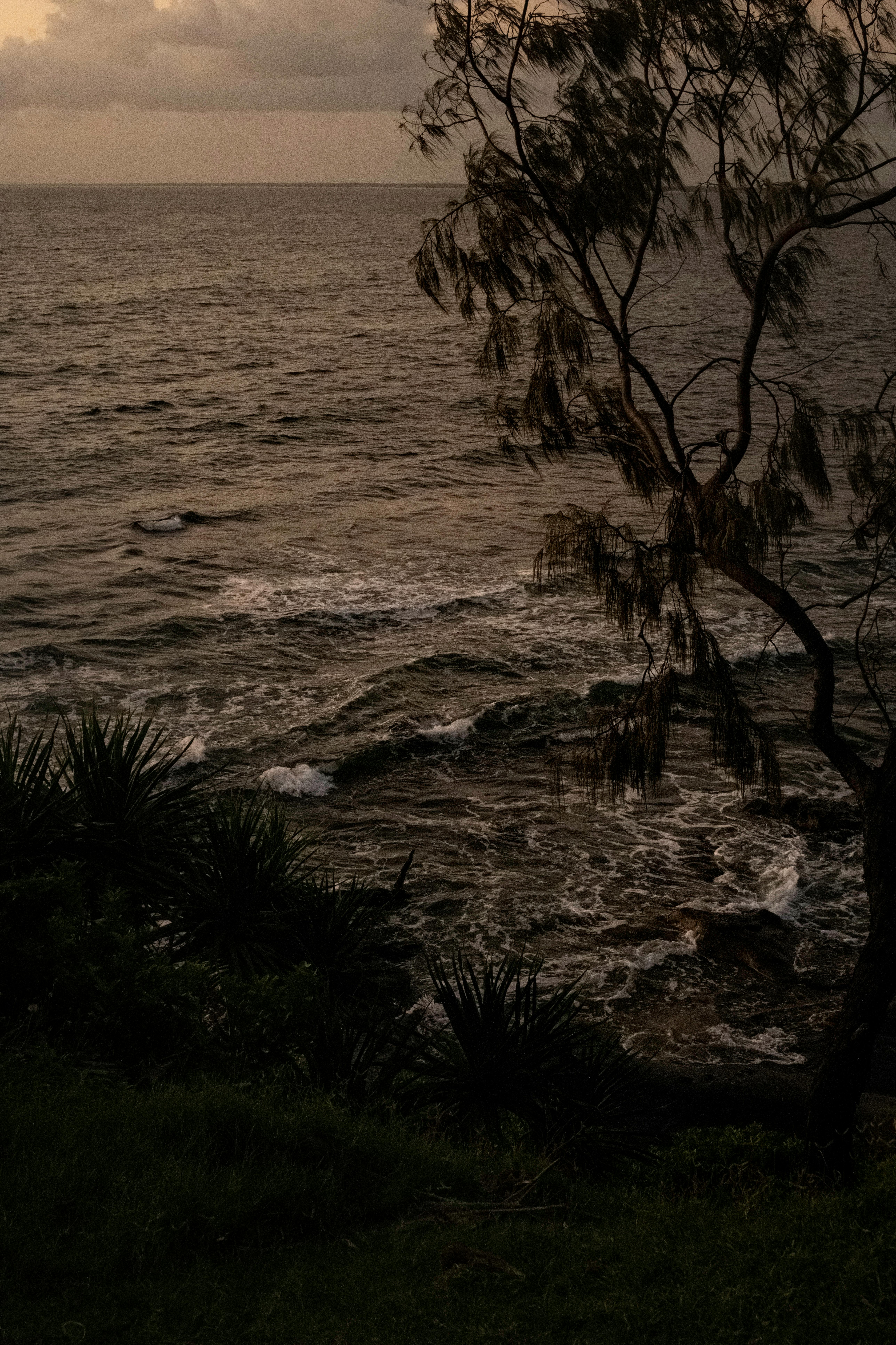 Tranquil Sunrise at Caloundra Beach, Australia · Free Stock Photo