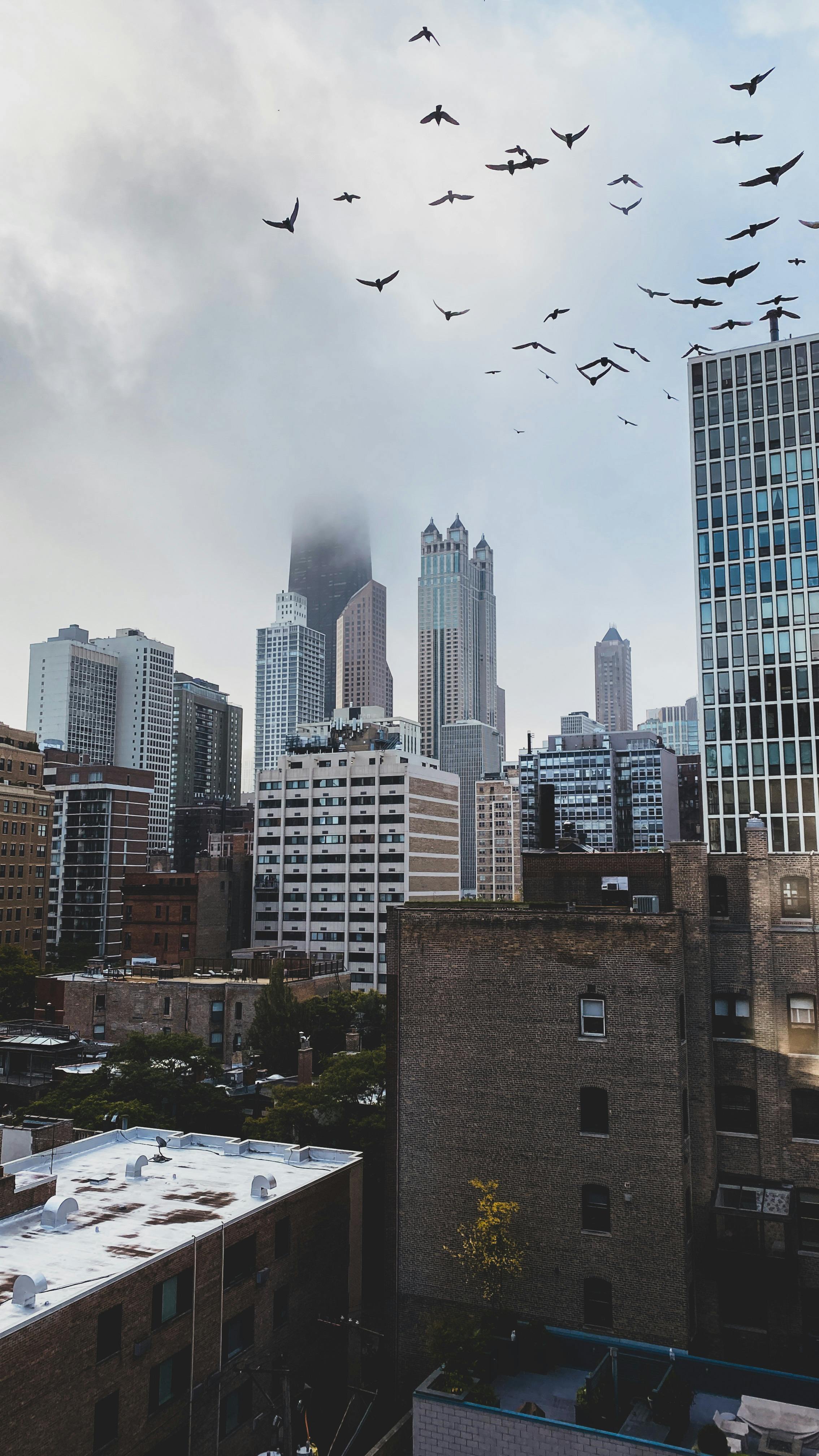 Clouds Enveloping Chicago Skyline · Free Stock Photo