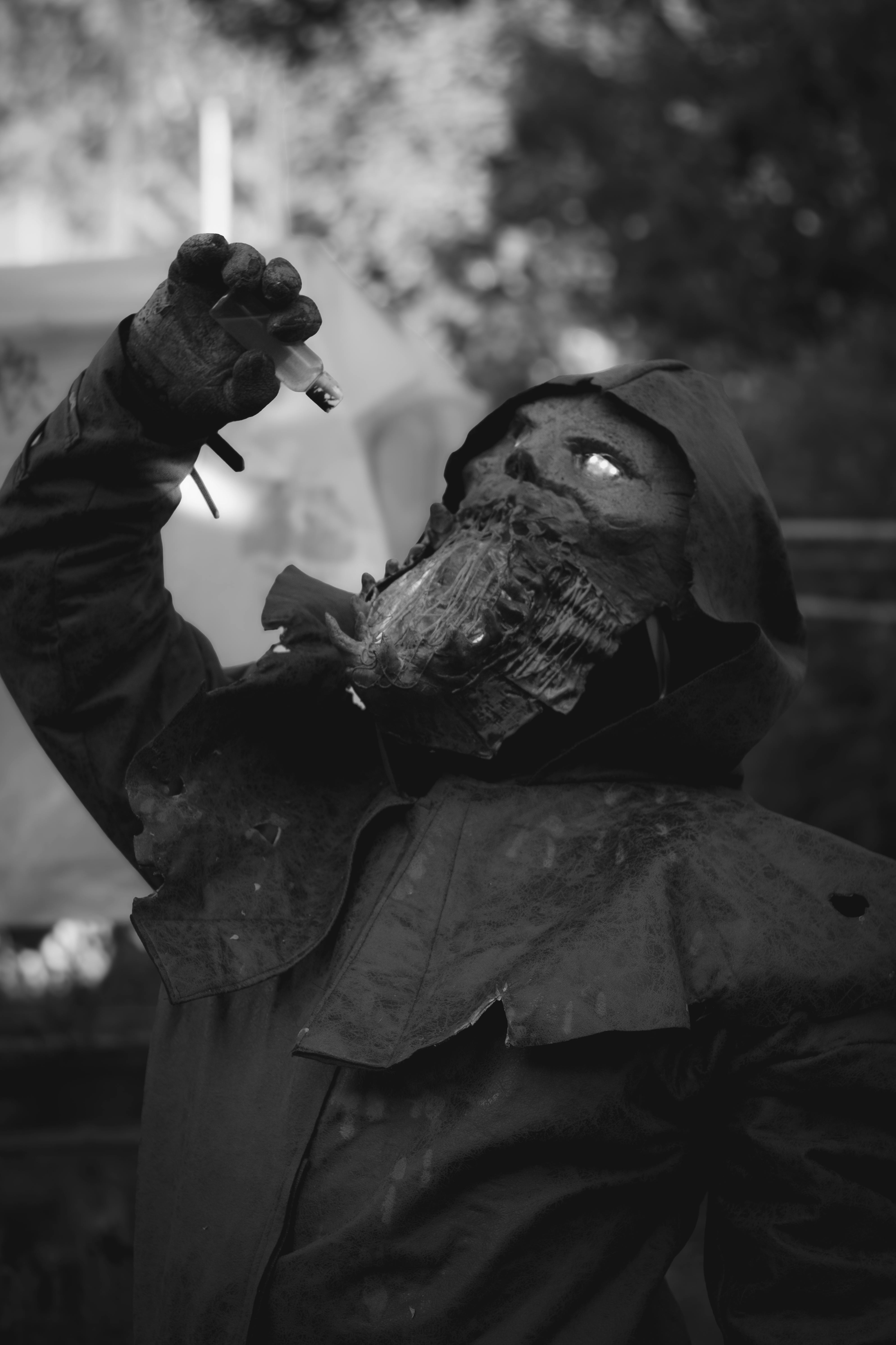 Cover Portrait Photos, Download The BEST Free Cover Portrait Stock ...