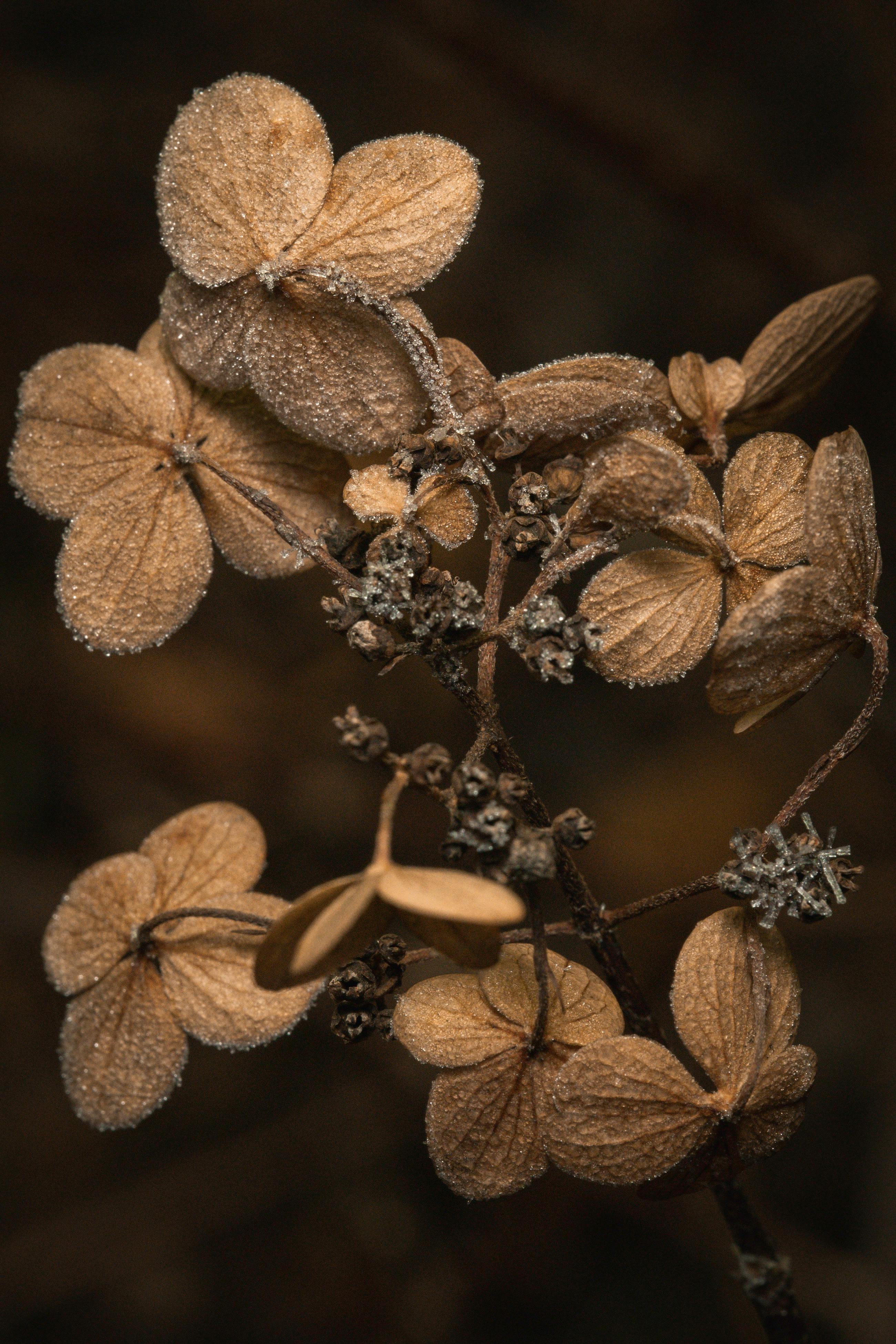 Etsy Background Photos, Download The BEST Free Etsy Background Stock ...