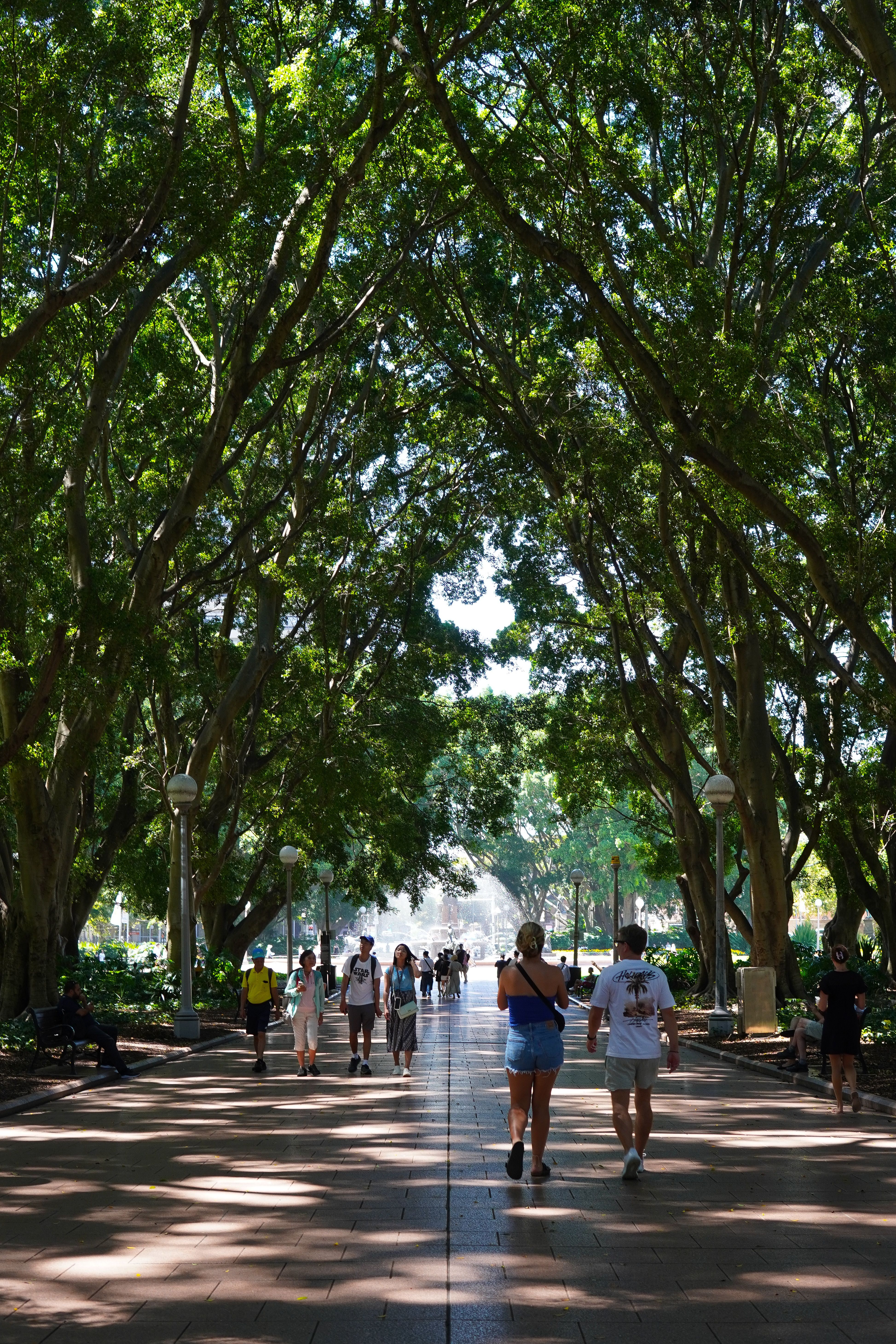 People Strolling Under Tree Canopy in Sunny Park · Free Stock Photo
