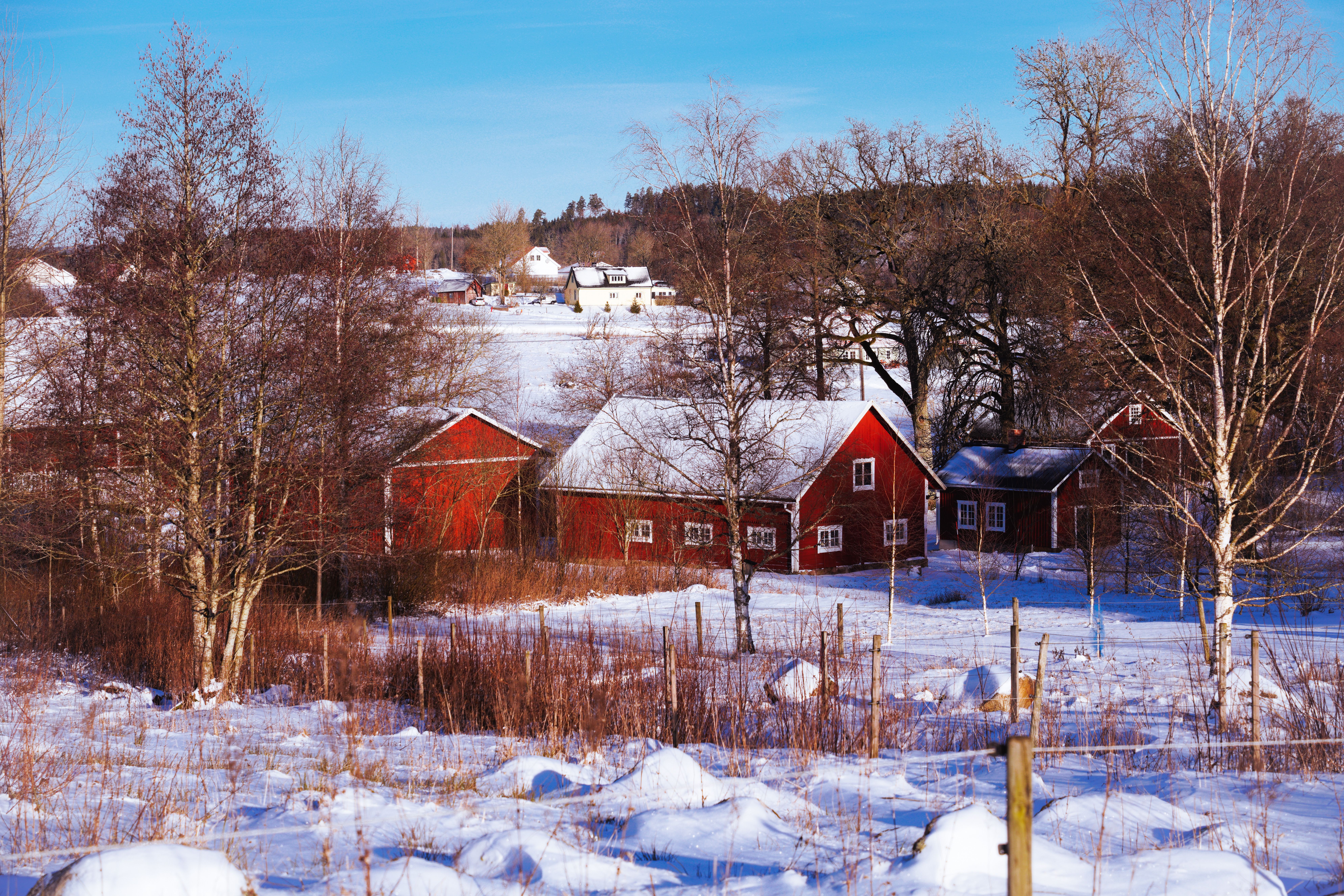 Scenic Winter View of Swedish Countryside Farm · Free Stock Photo