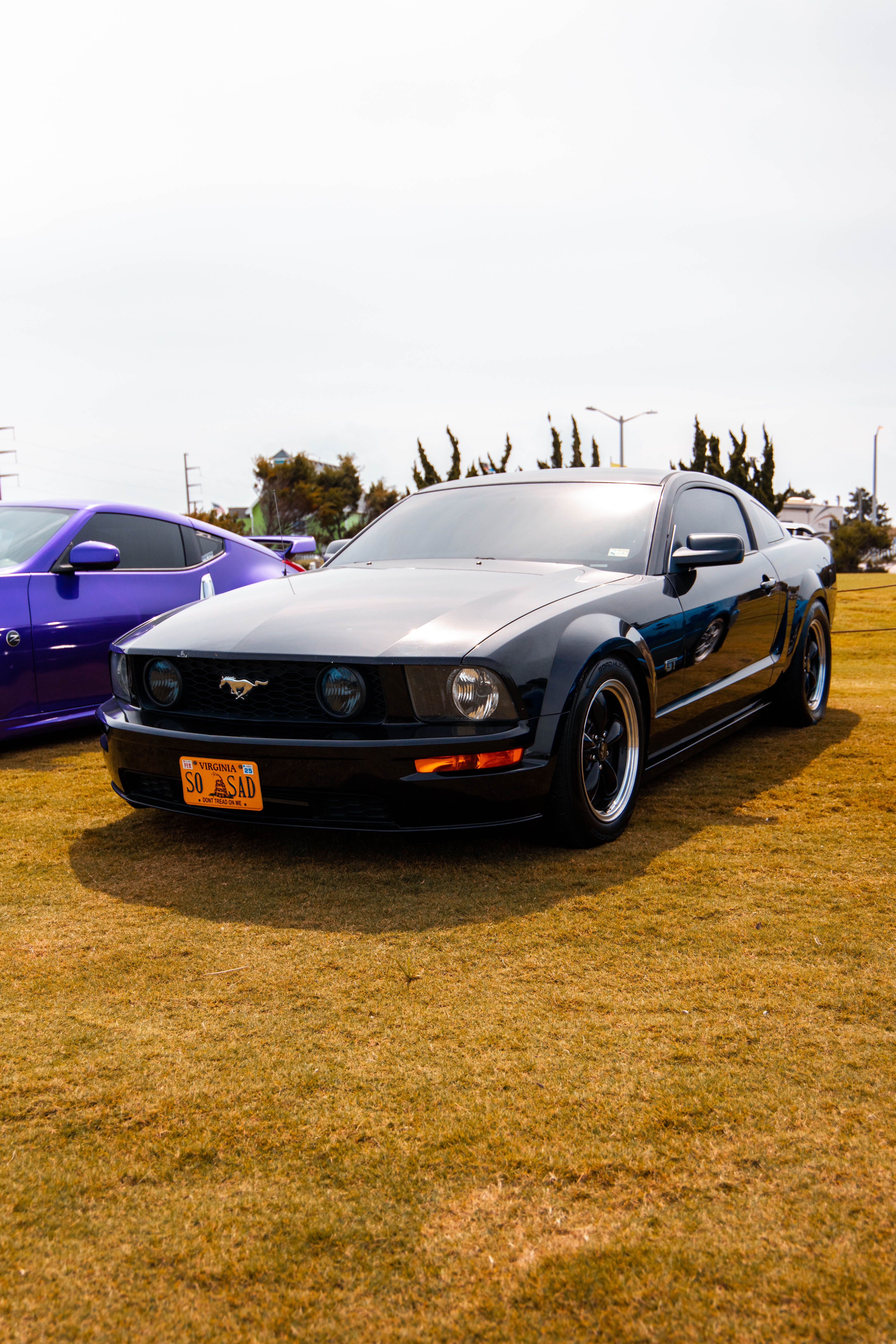 Black Mustang in Outdoor Car Show · Free Stock Photo
