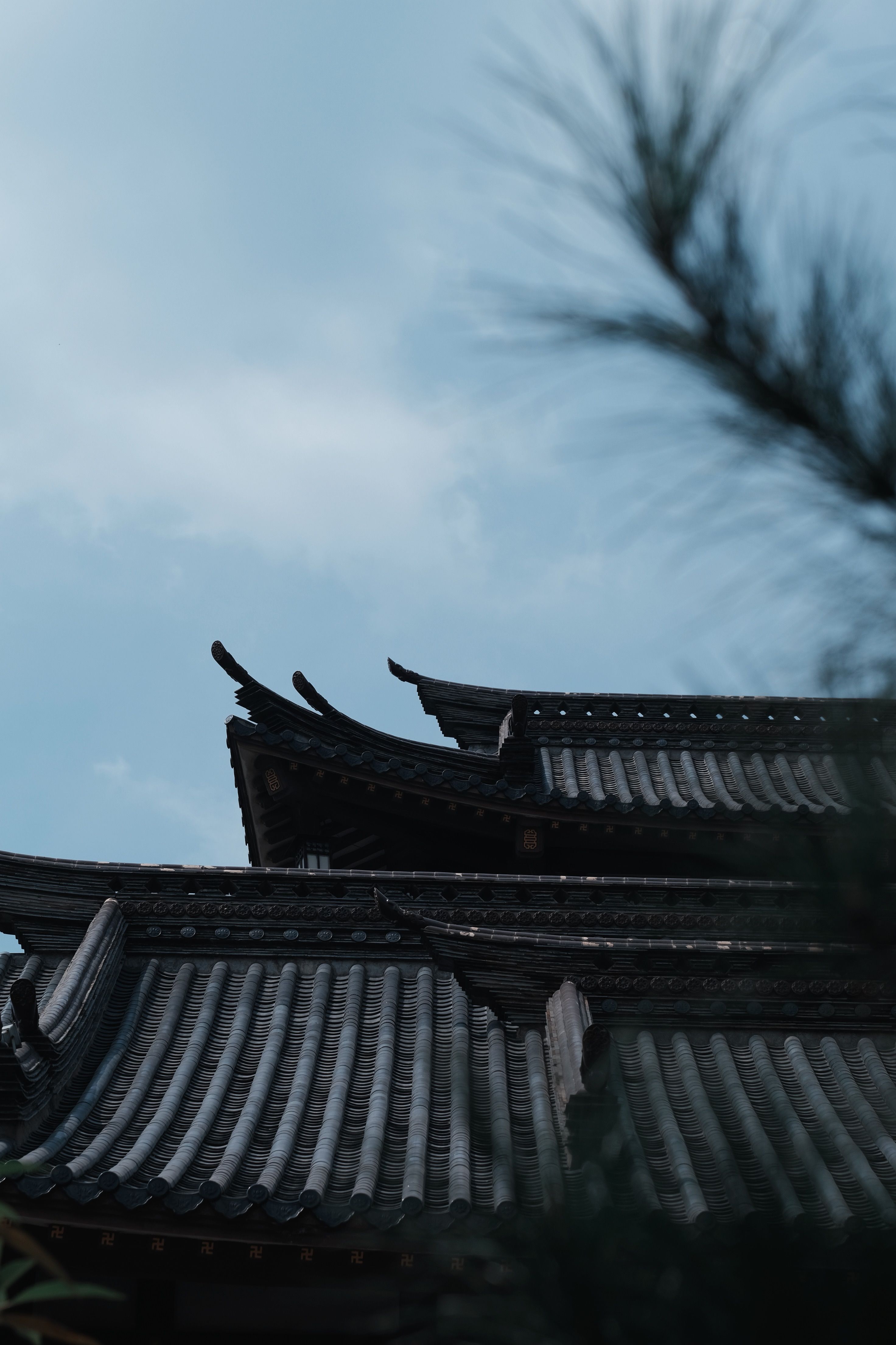 Traditional Asian Roof with Elegant Curves · Free Stock Photo
