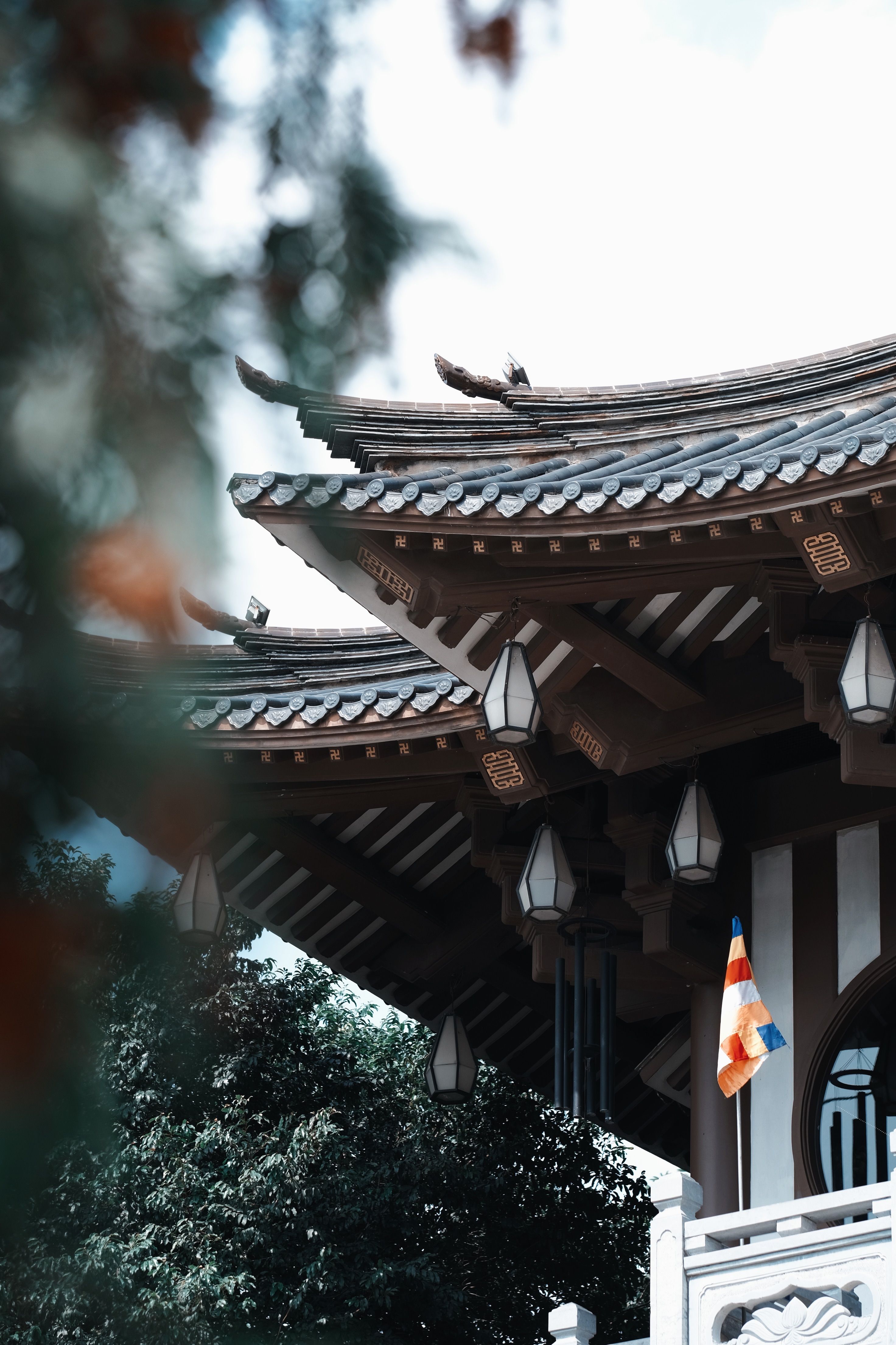 Traditional Asian Temple Roof with Decorative Eaves · Free Stock Photo