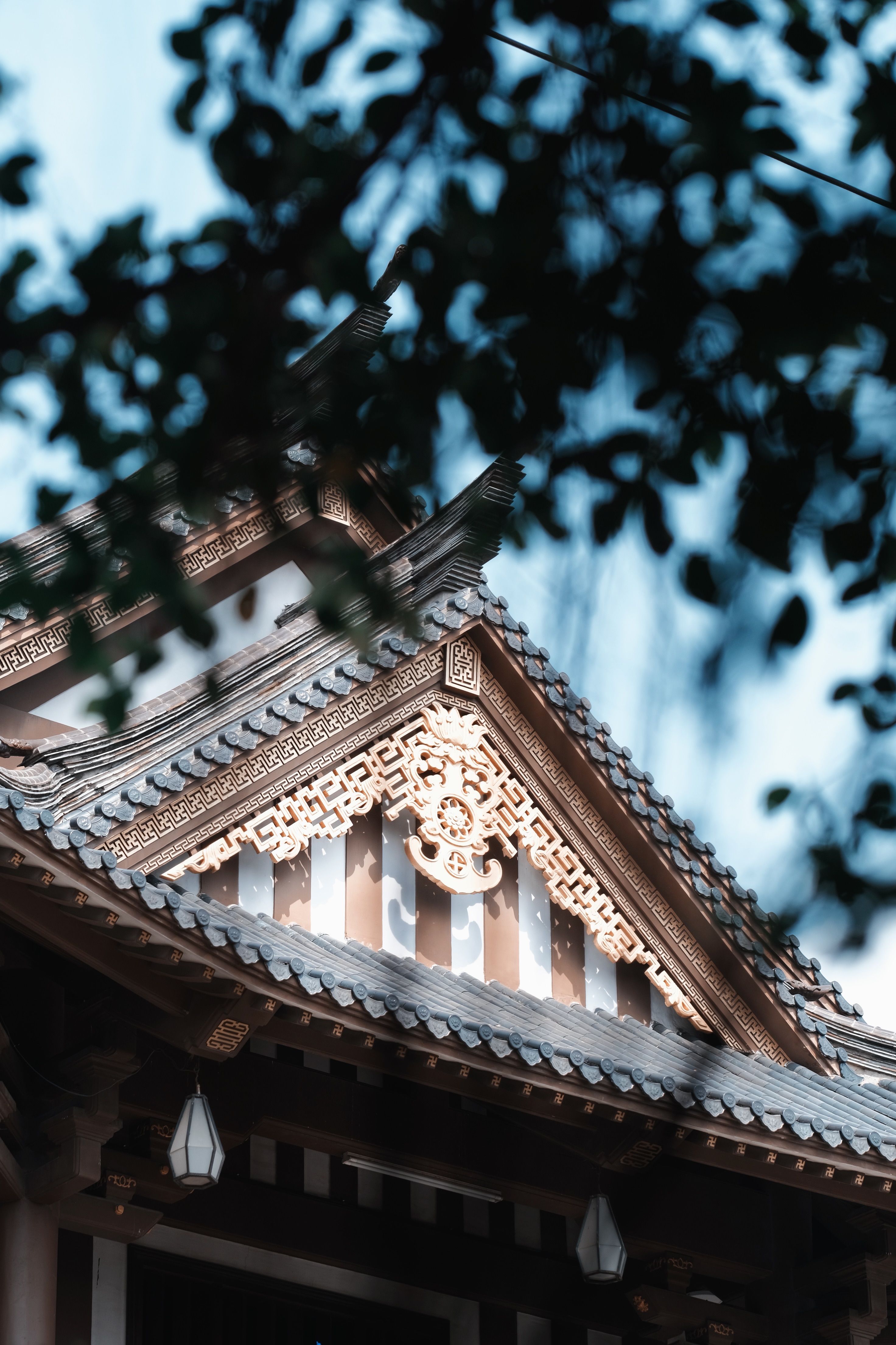 Traditional Japanese Temple Roof in Sunlight · Free Stock Photo