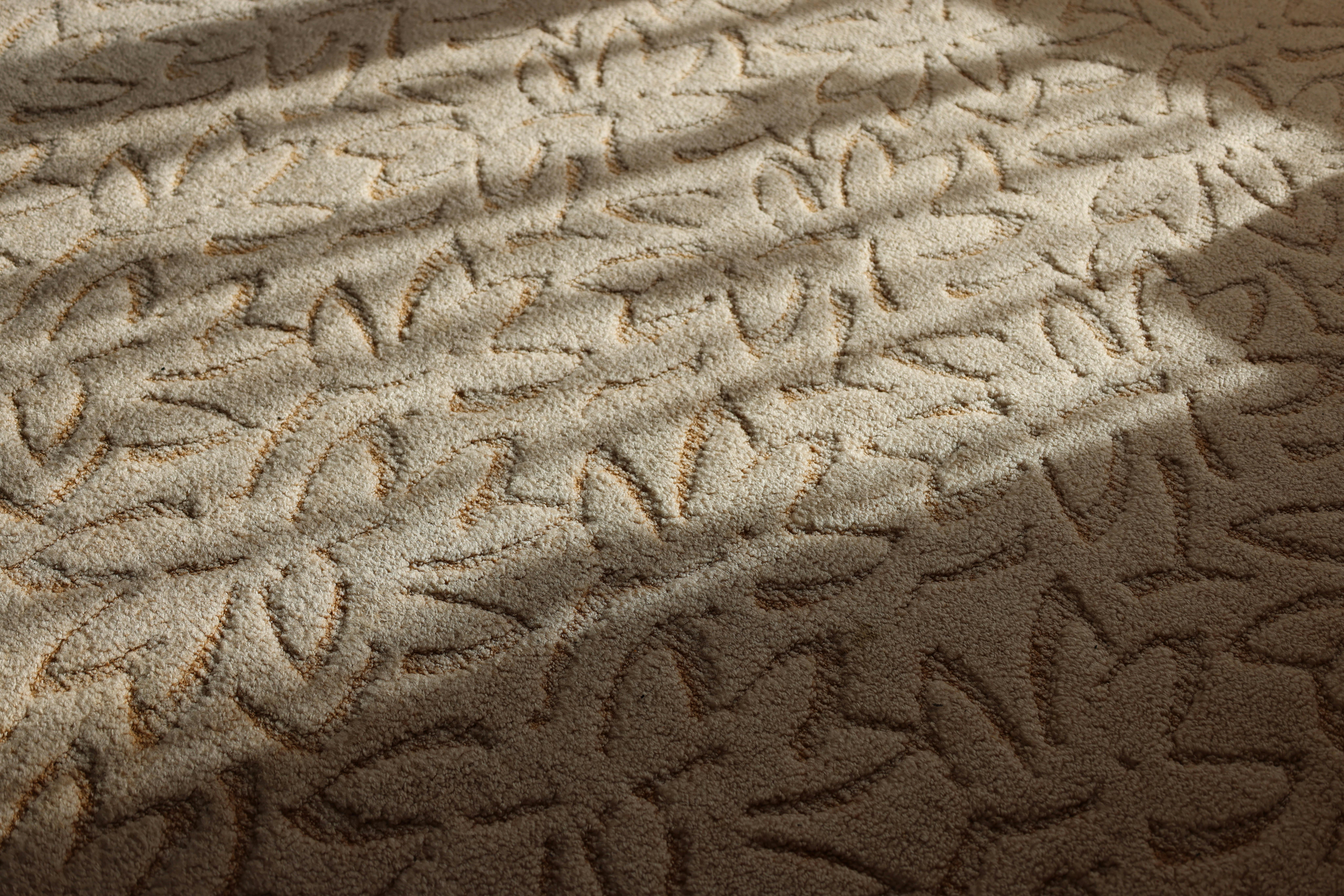 Textured Beige Carpet with Floral Pattern in Soft Light · Free Stock Photo