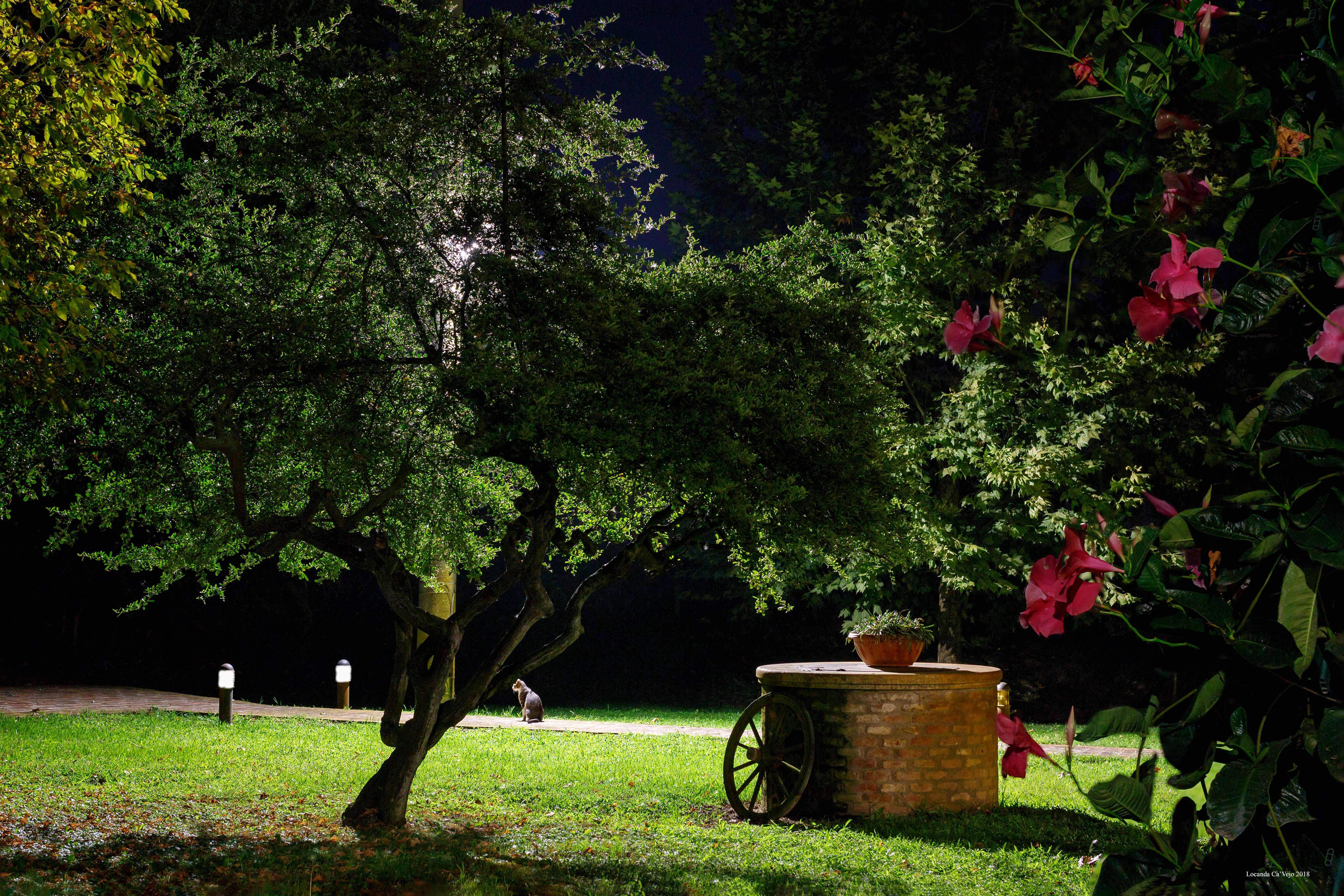 Tranquil Night Scene in Veneto Garden · Free Stock Photo