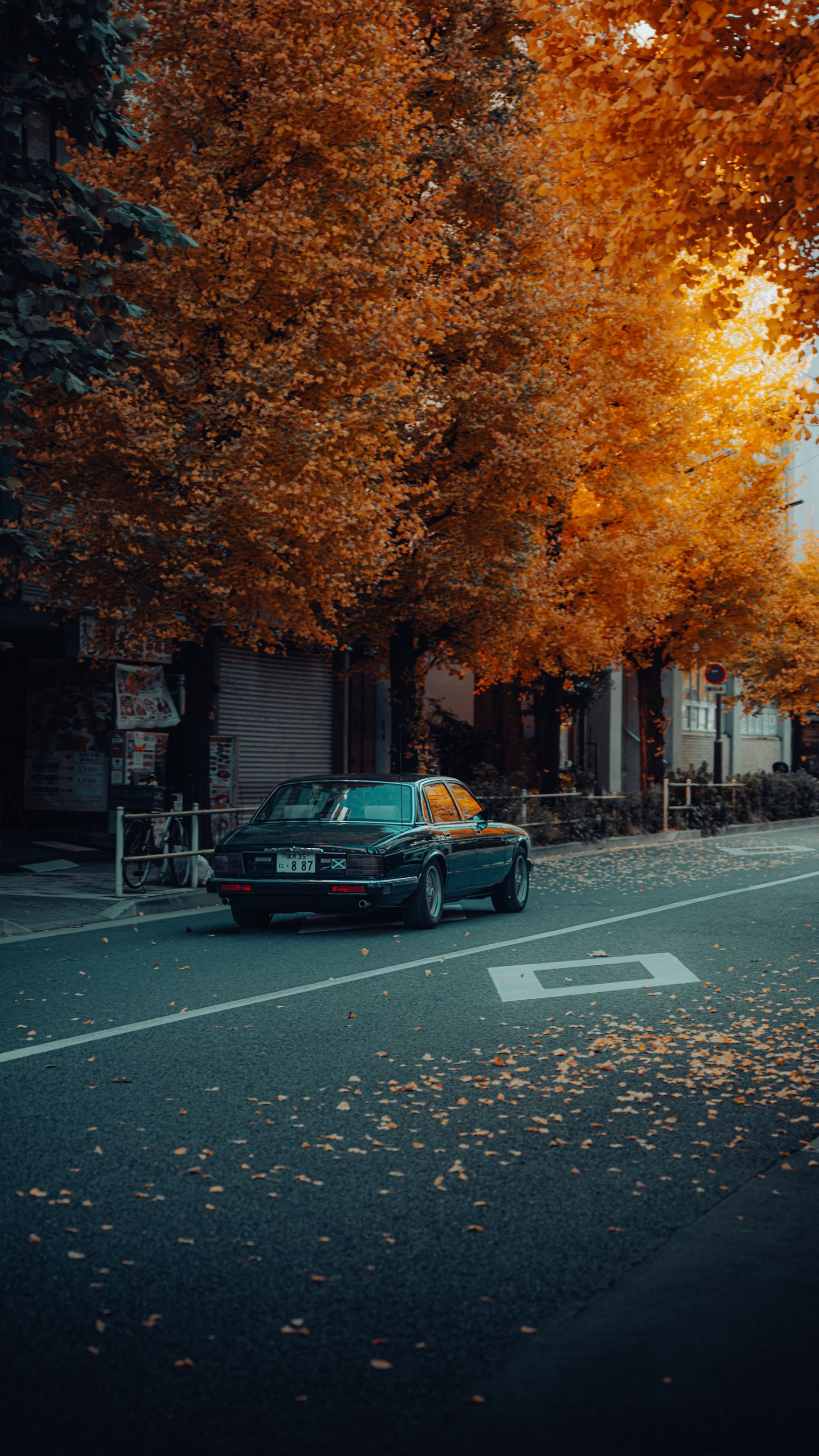 Vintage Car on Tokyo Street in Autumn · Free Stock Photo