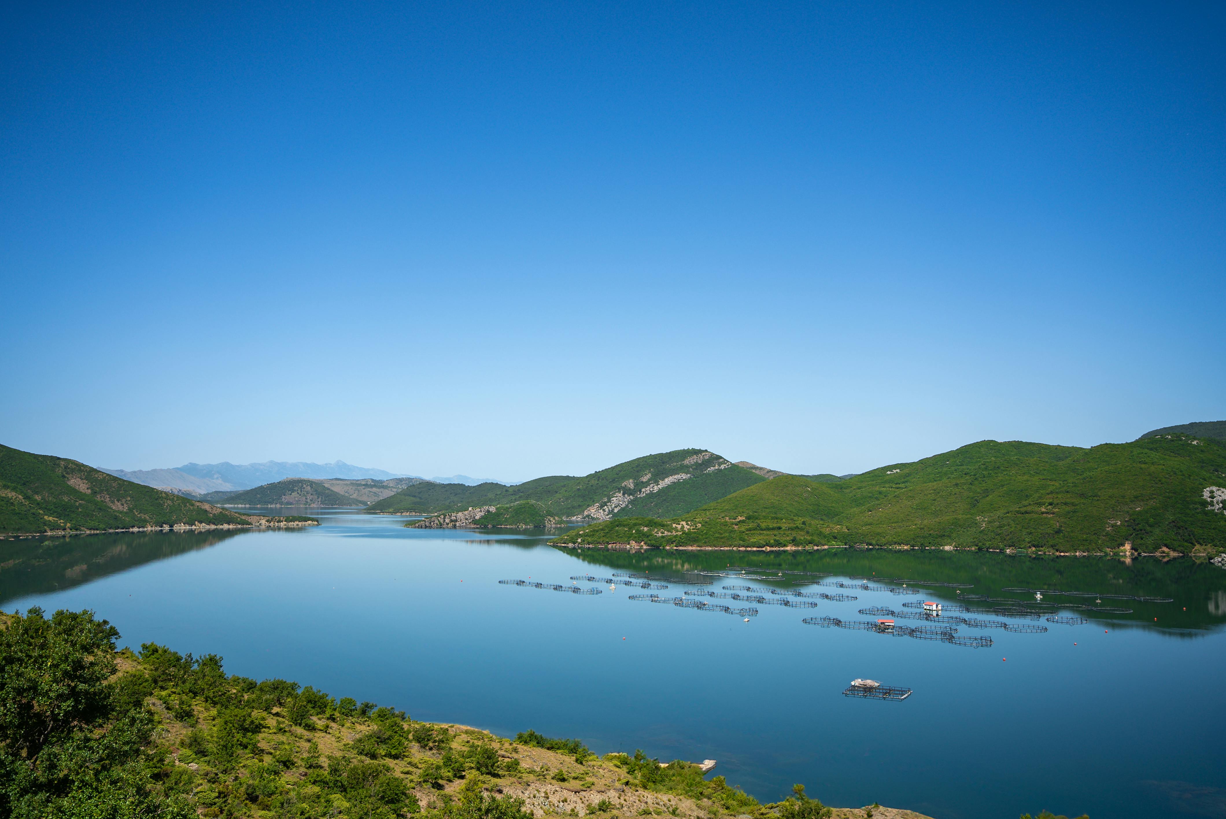 Kenwood Albania Photos, Download The BEST Free Kenwood Albania Stock ...