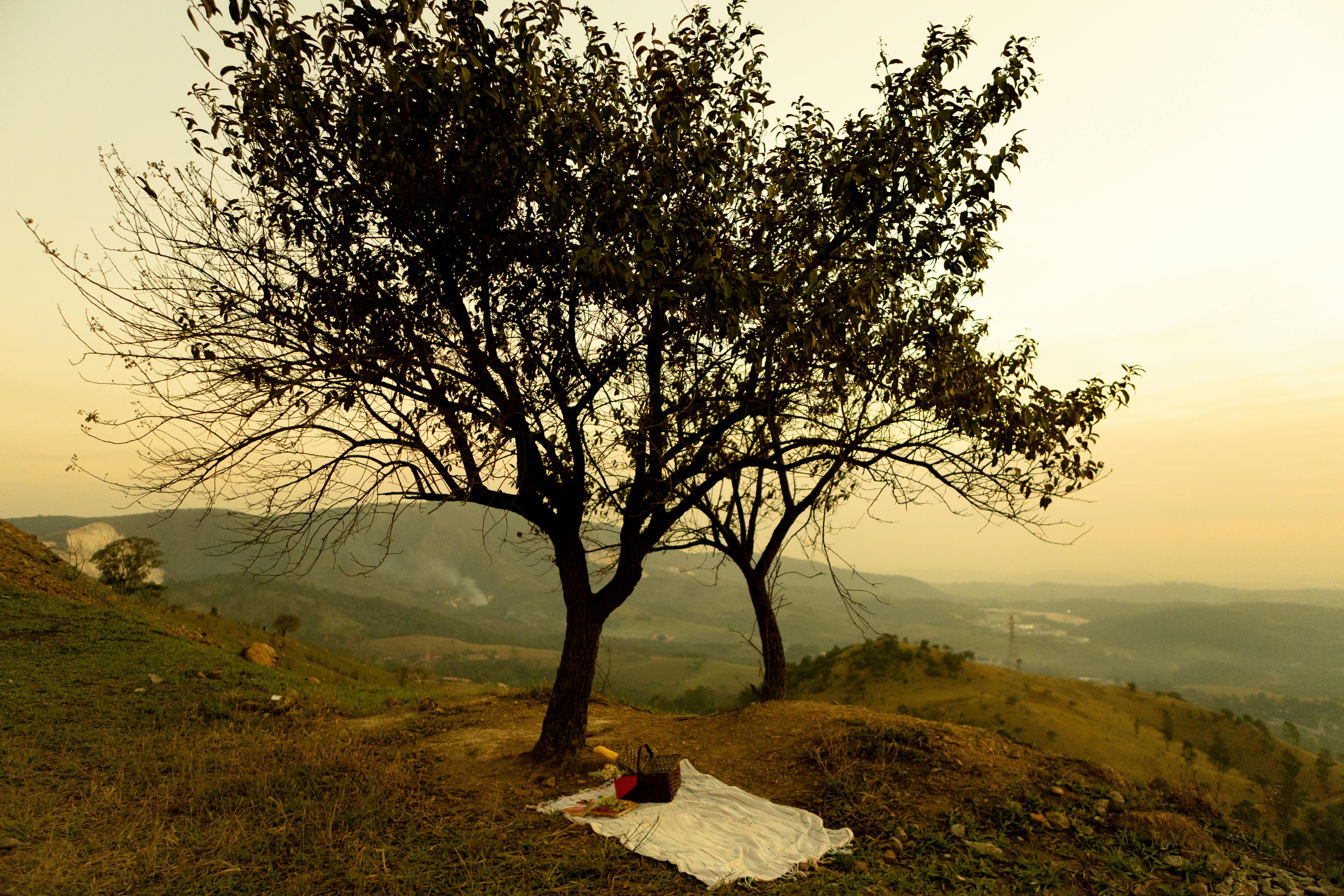 Fotolia Prod Templates Photos, Download The BEST Free Fotolia Prod ...