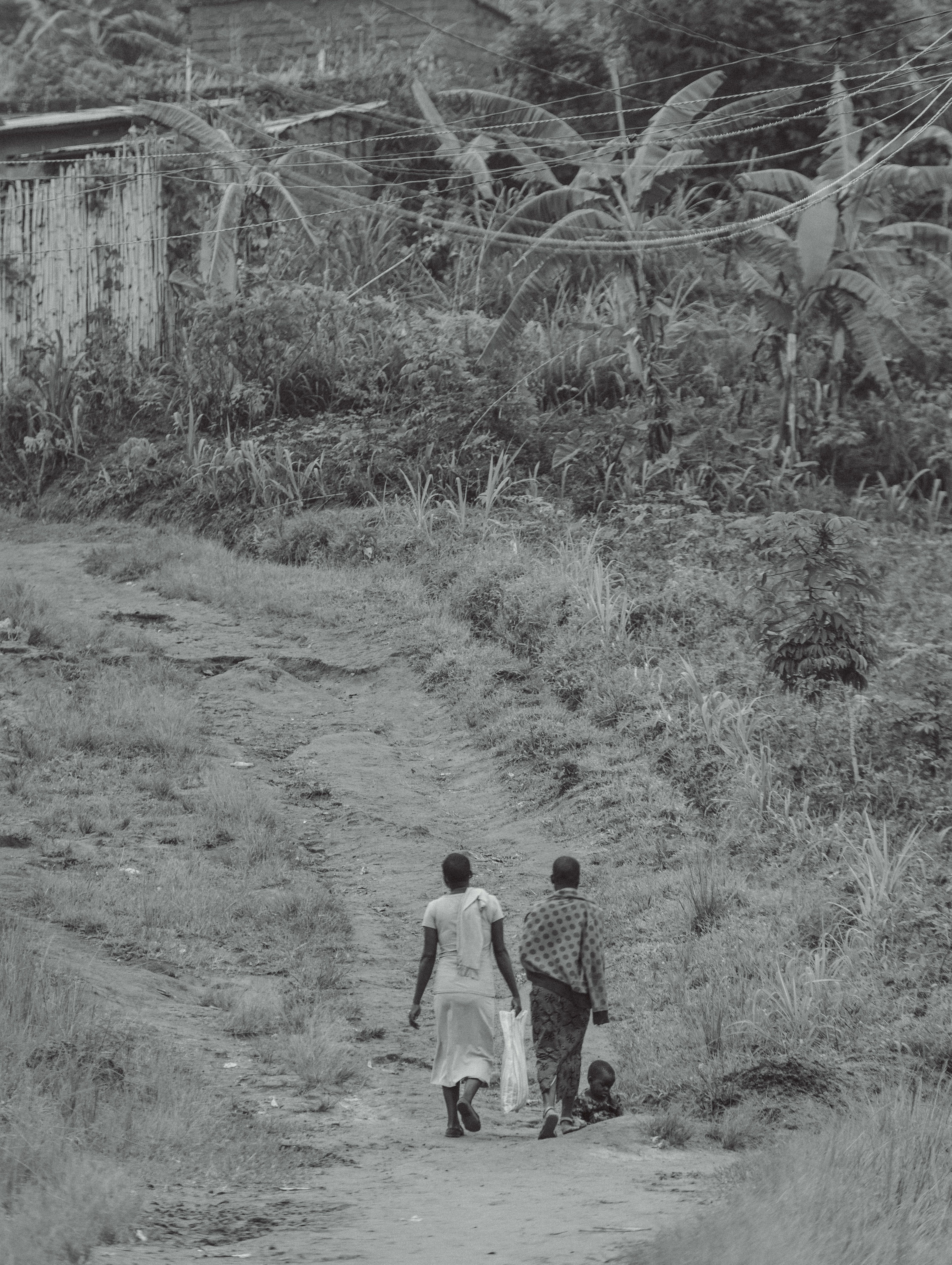 Rural Life in Burundi: A Peaceful Walk · Free Stock Photo