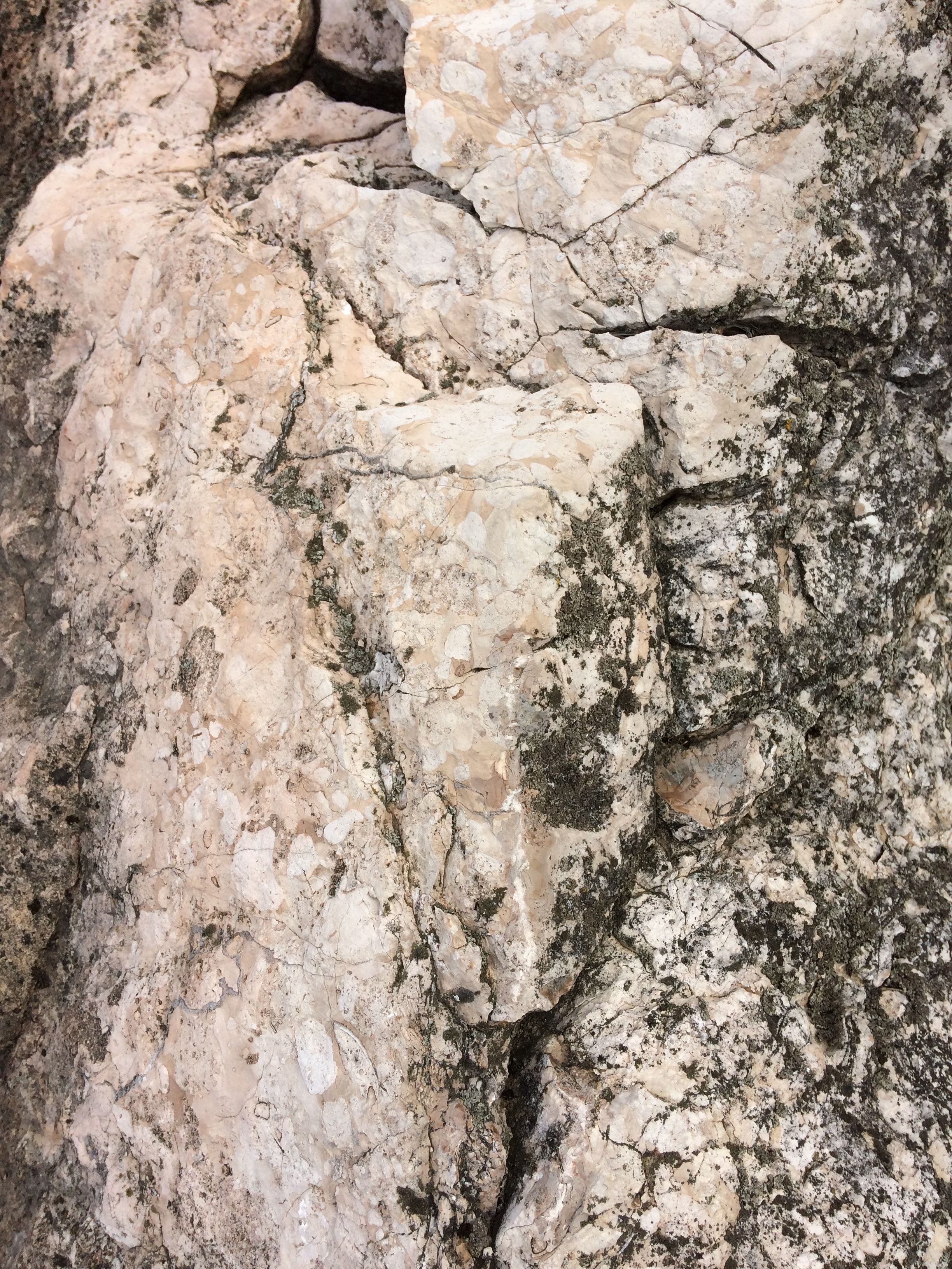 Close-up of Weathered Rock Surface Texture · Free Stock Photo