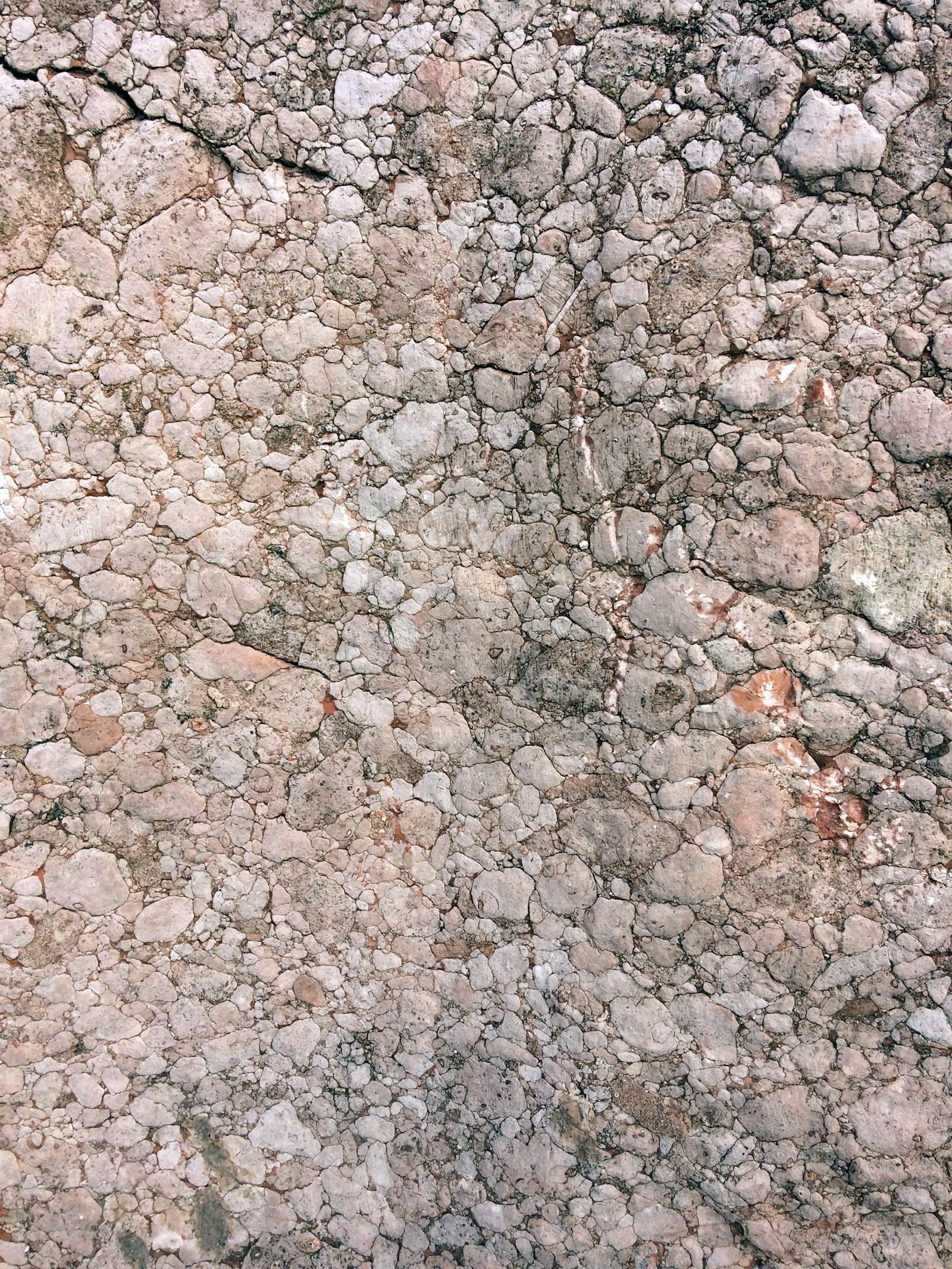 Earth No Background Photos, Download The BEST Free Earth No Background ...