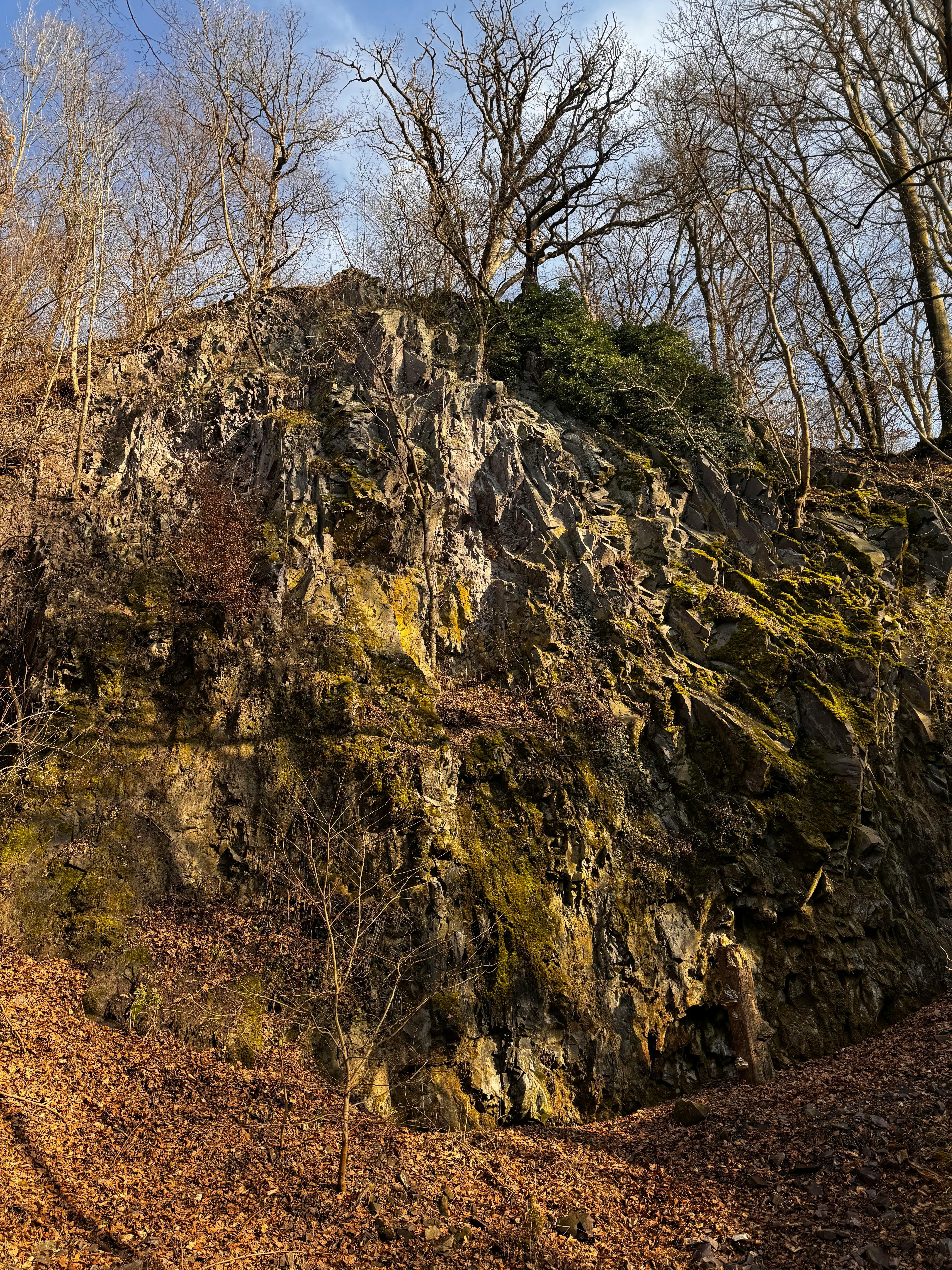 Rugged Forest Cliff in Winter Season · Free Stock Photo