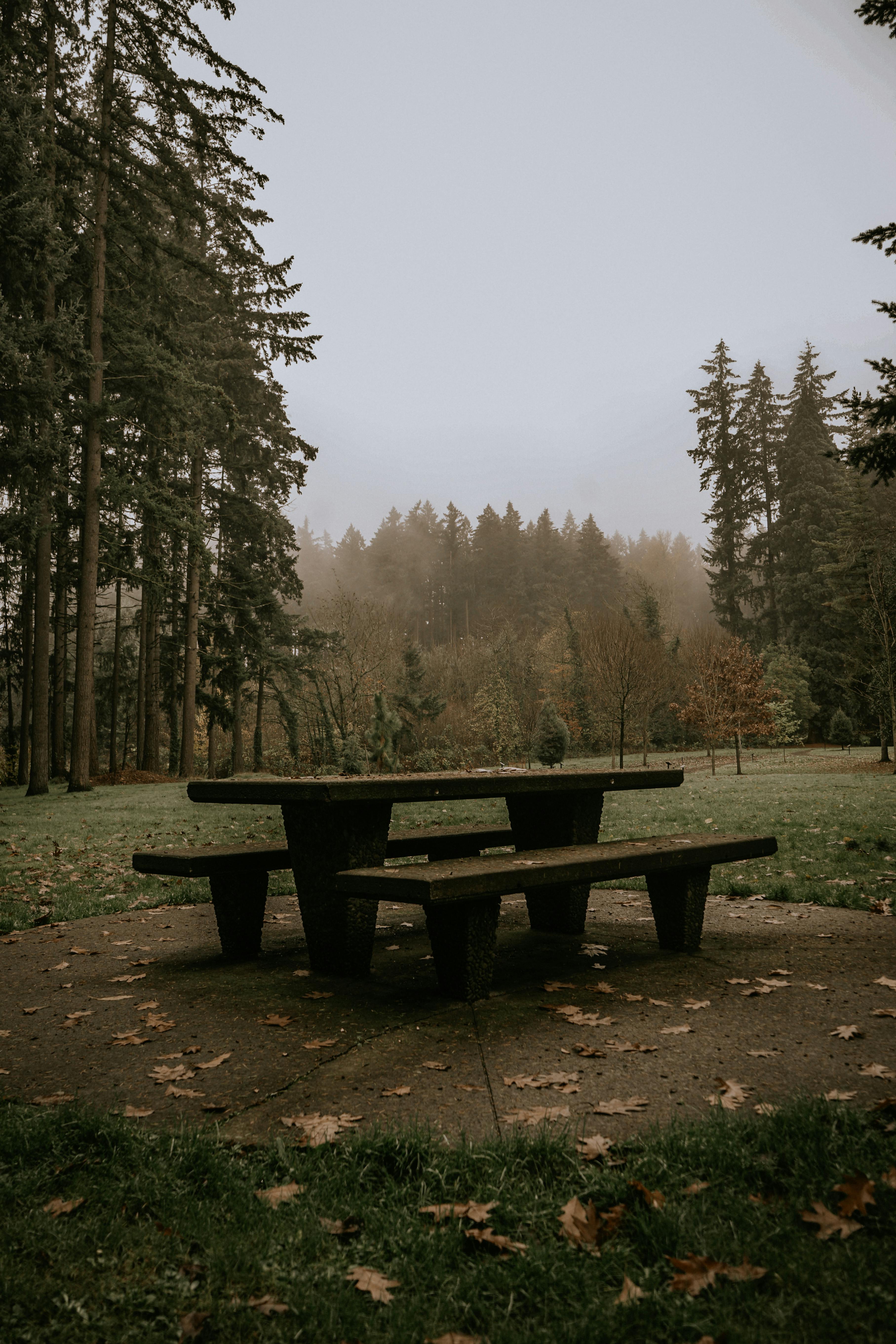 Rustic Picnic Table in Forest Setting · Free Stock Photo