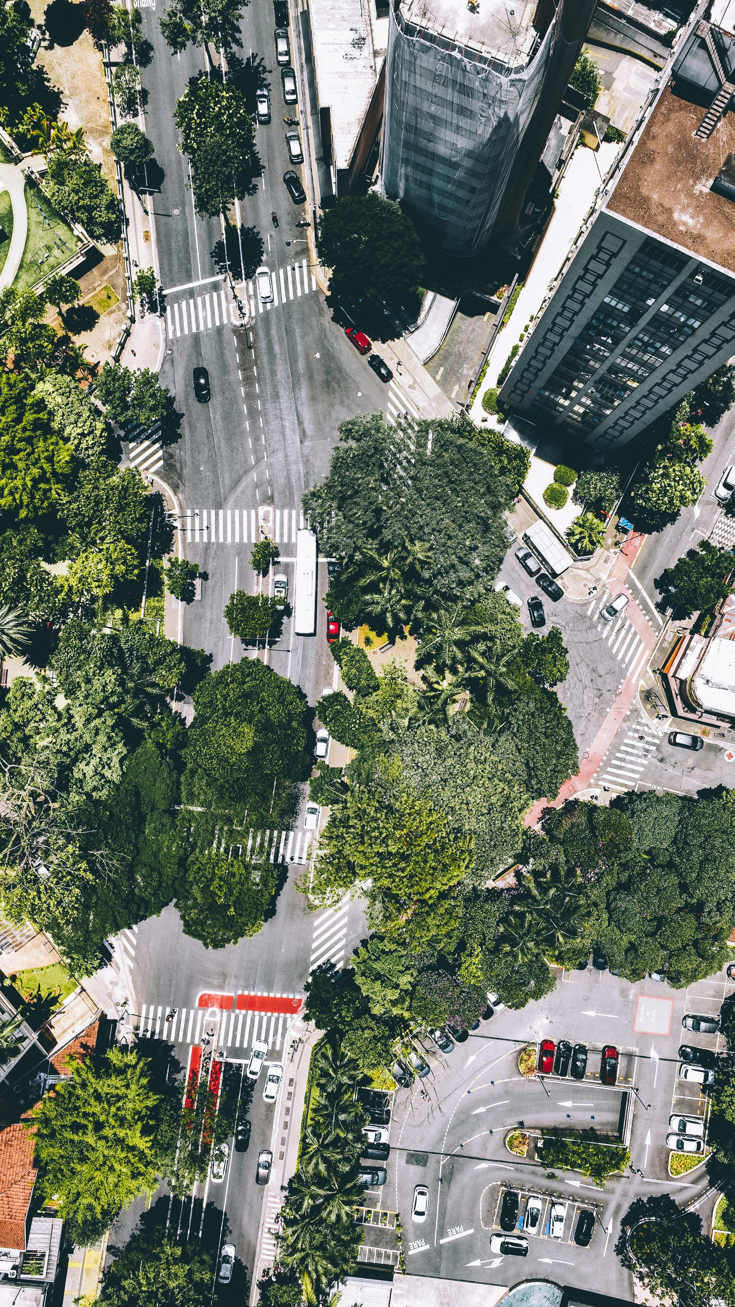 Aerial View of a Busy Urban Intersection · Free Stock Photo